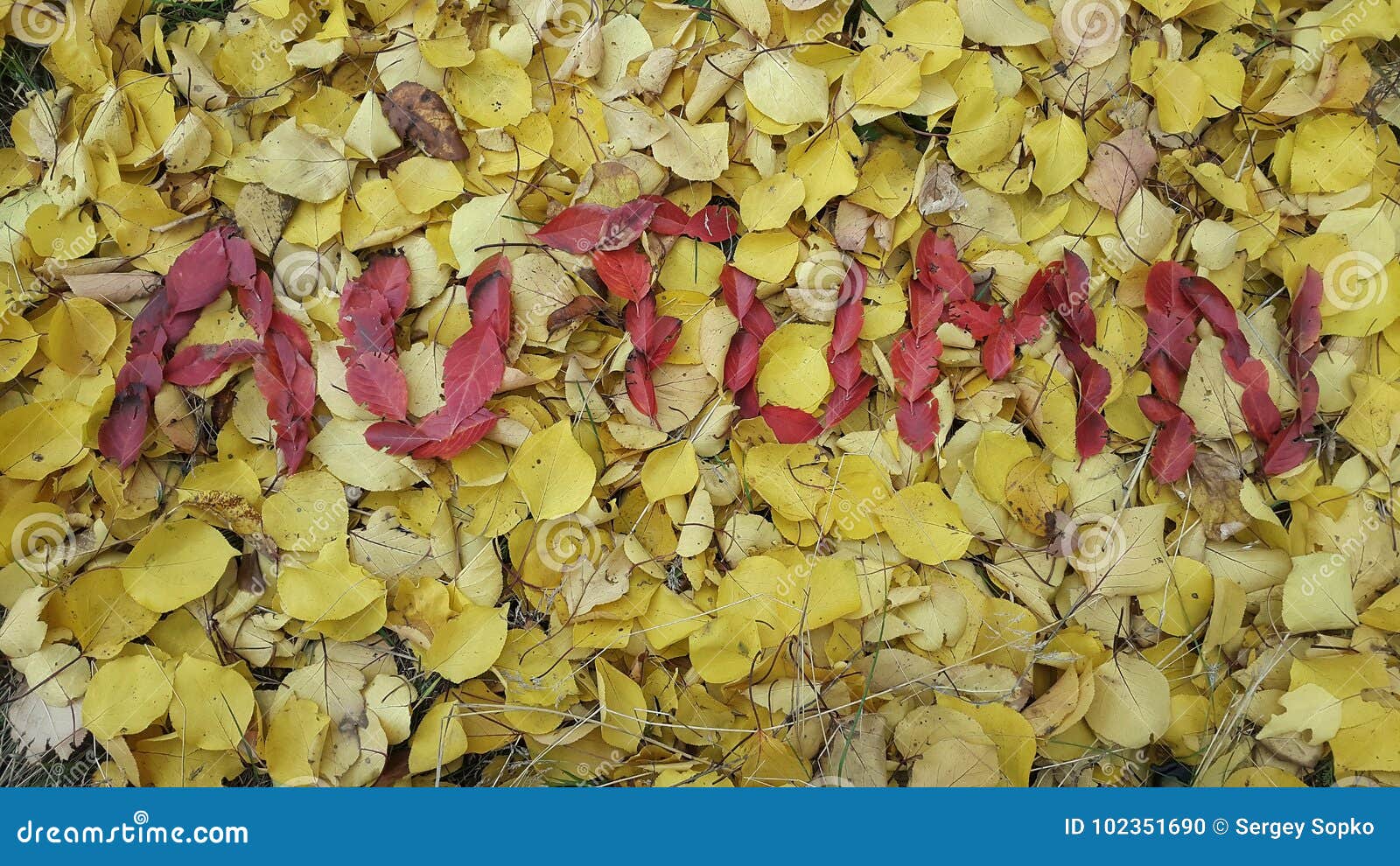 The Word Autumn Written in Red Leaves Stock Photo - Image of background ...