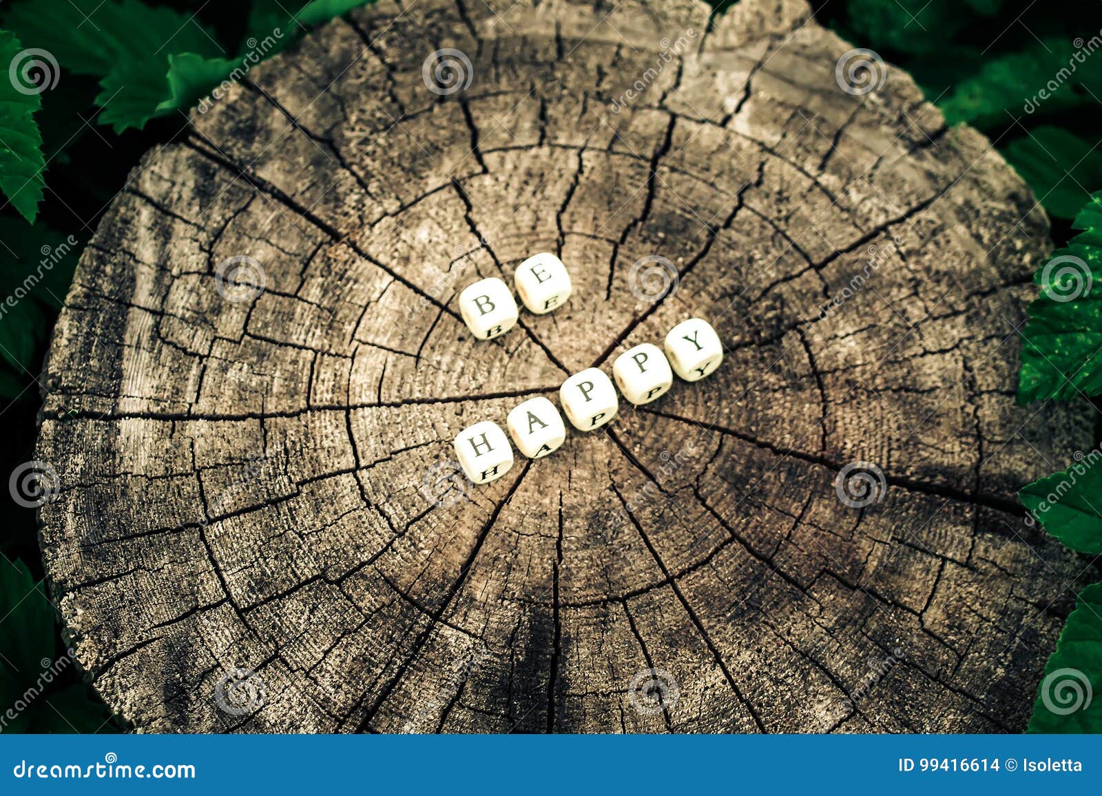 613 Forest Alphabet Letters Stock Photos - Free & Royalty-Free Stock ...