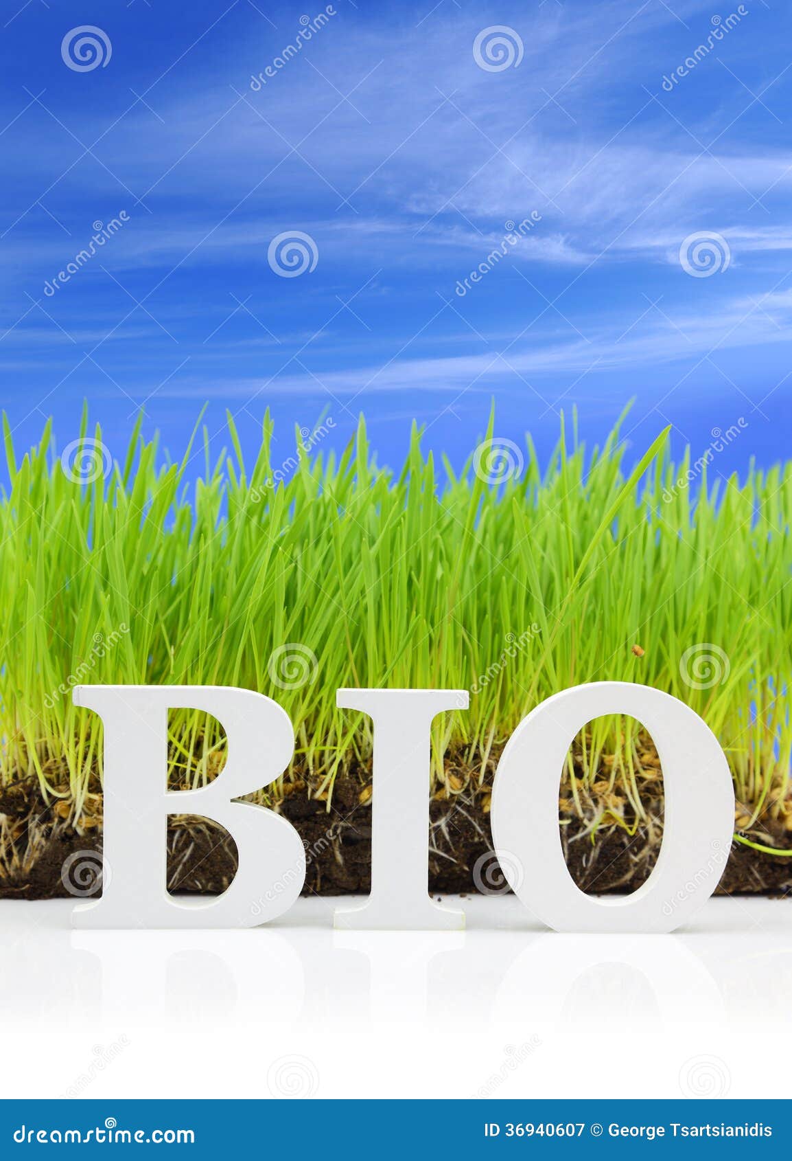 Word Bio with fresh grass stock image. Image of consume - 36940607
