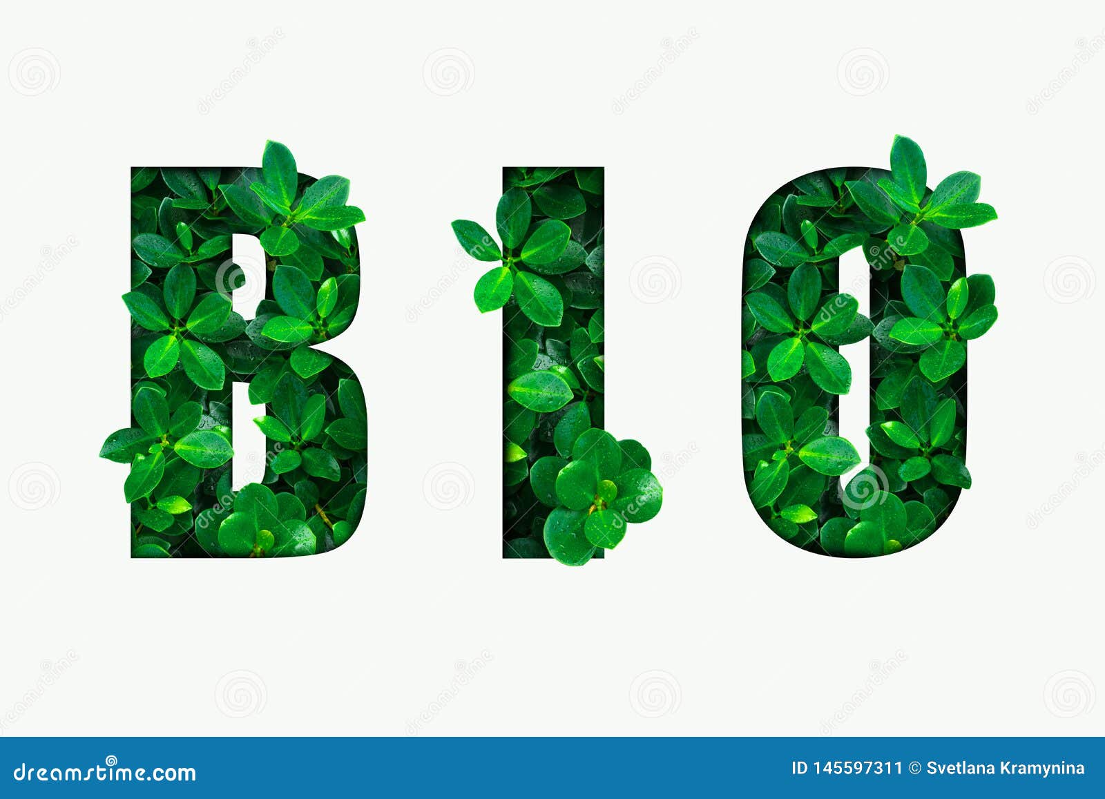 Word BIO from green leaves stock illustration. Illustration of label ...