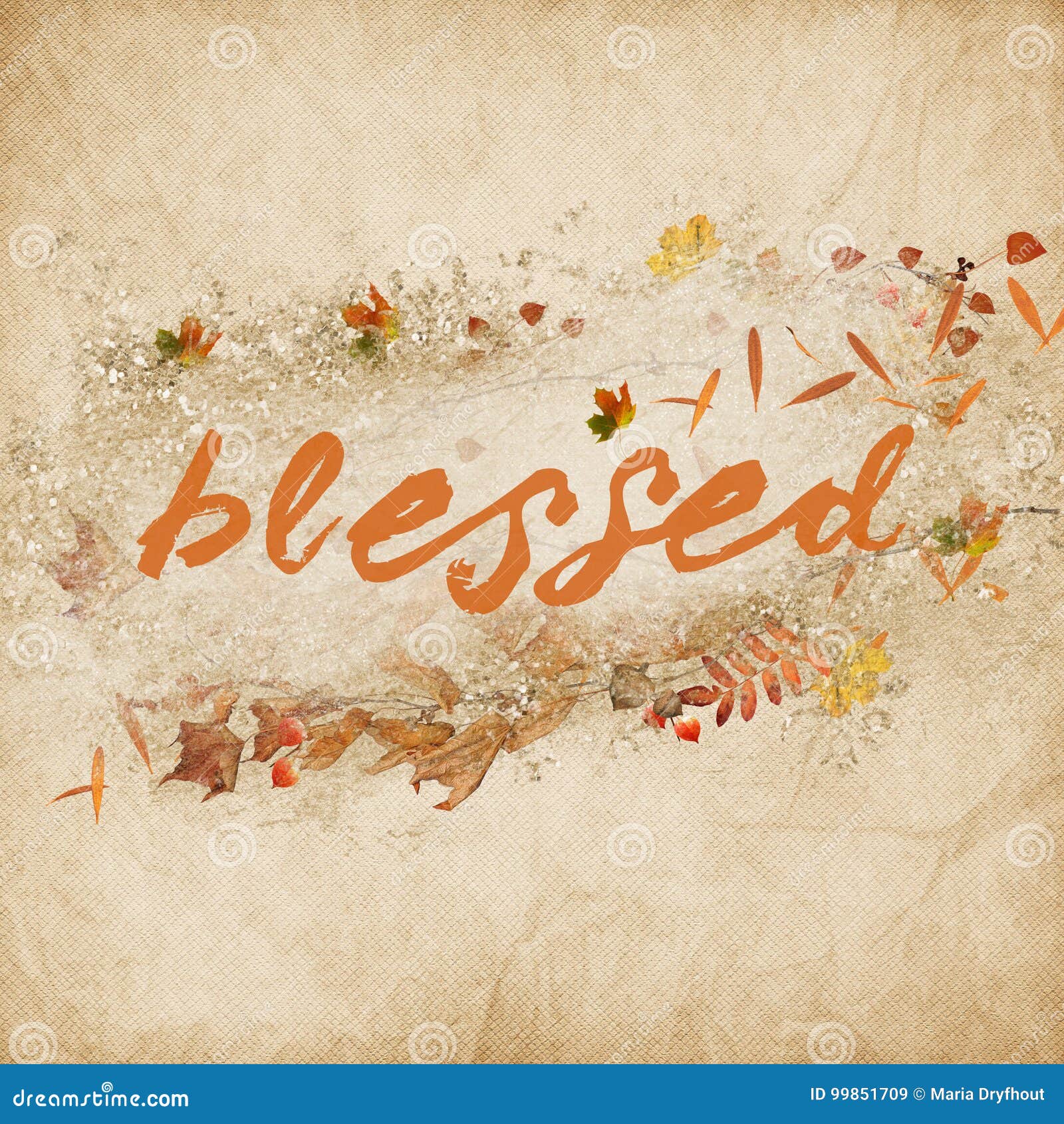 Word Blessed with Autumn Leaves Stock Illustration - Illustration of ...