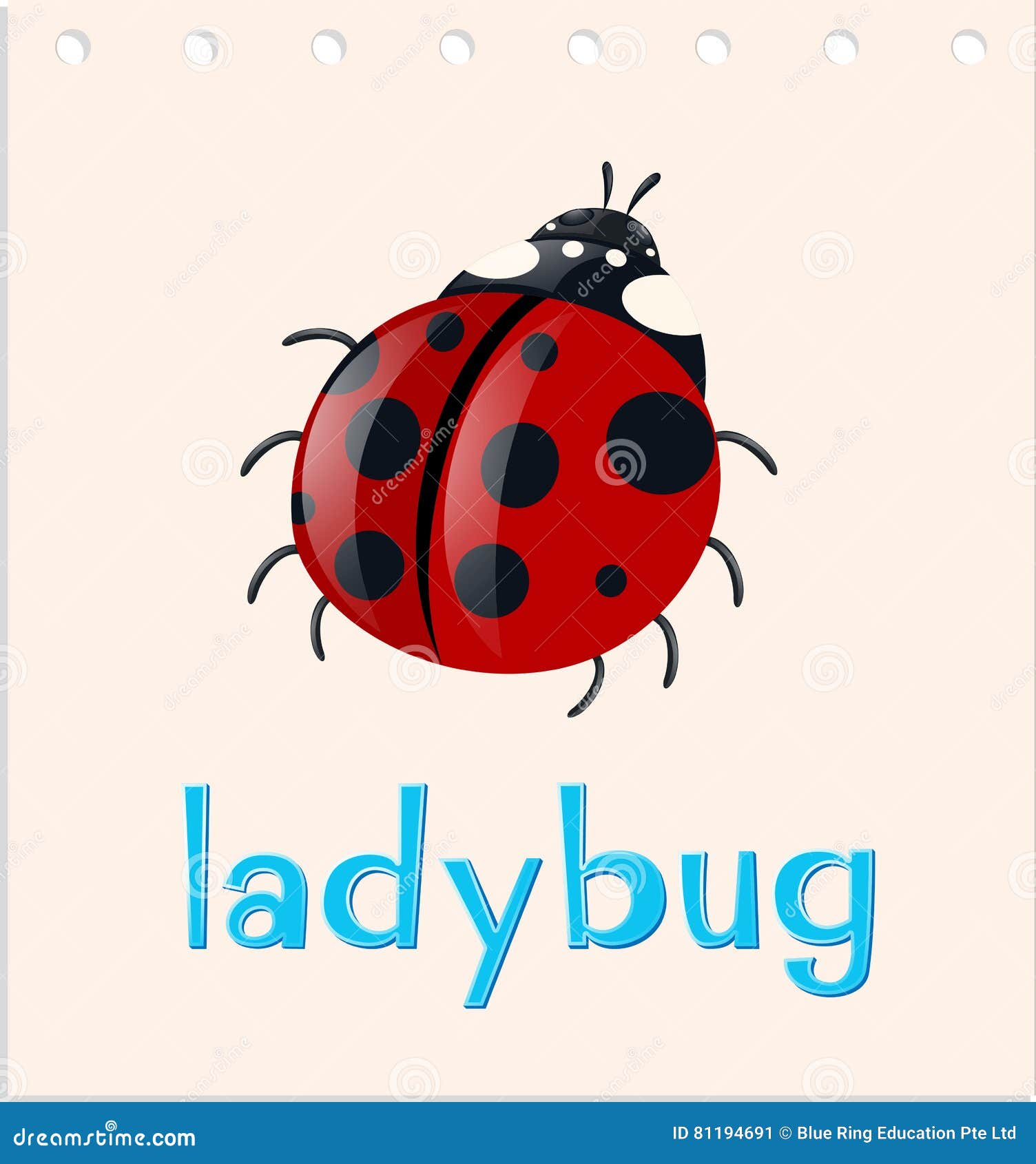 L Word For Ladybug Animal Alphabet Illustration | CartoonDealer.com ...