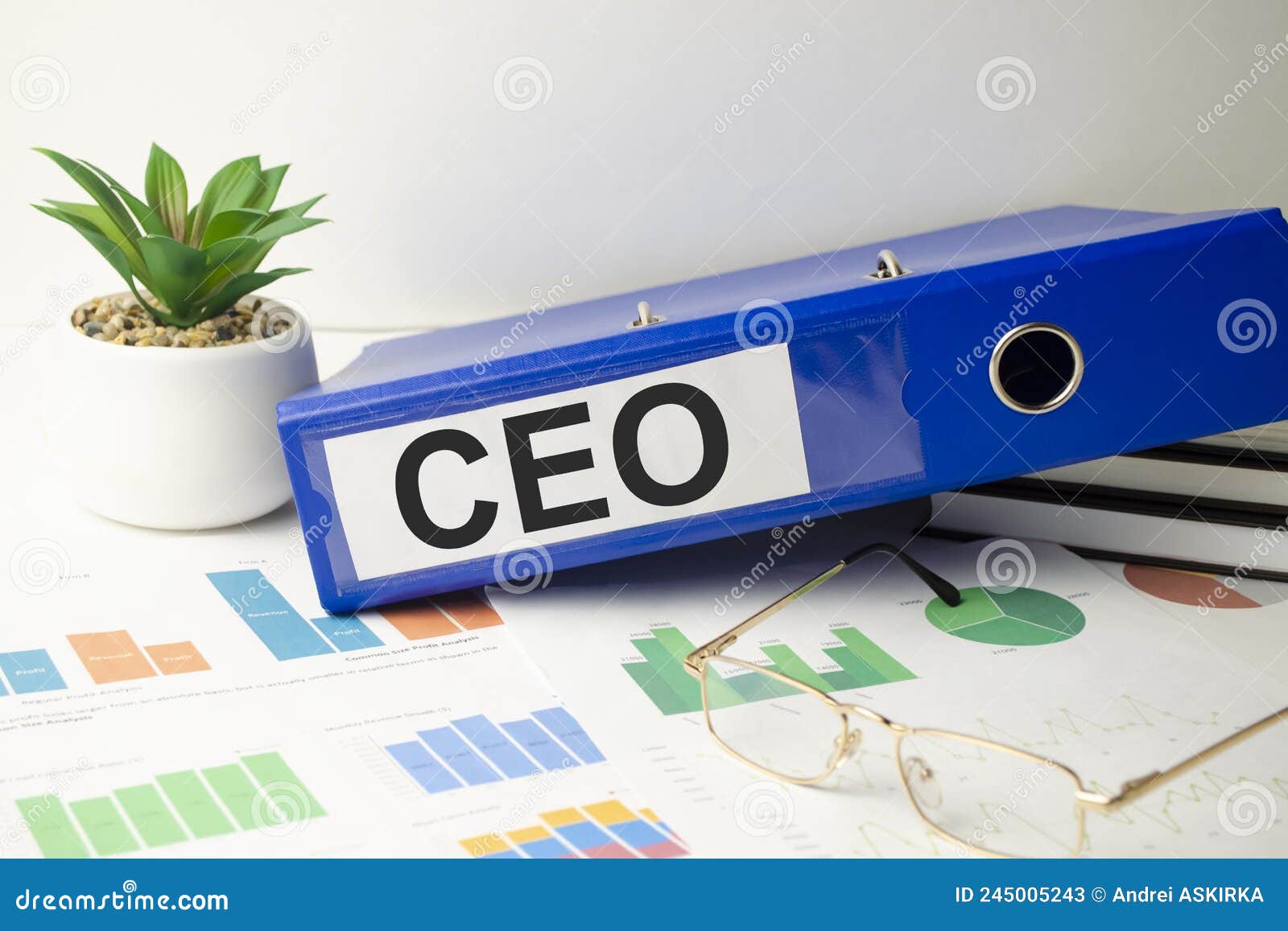 Word CEO is Written on a Folder on a Dark Table with Documents Stock ...