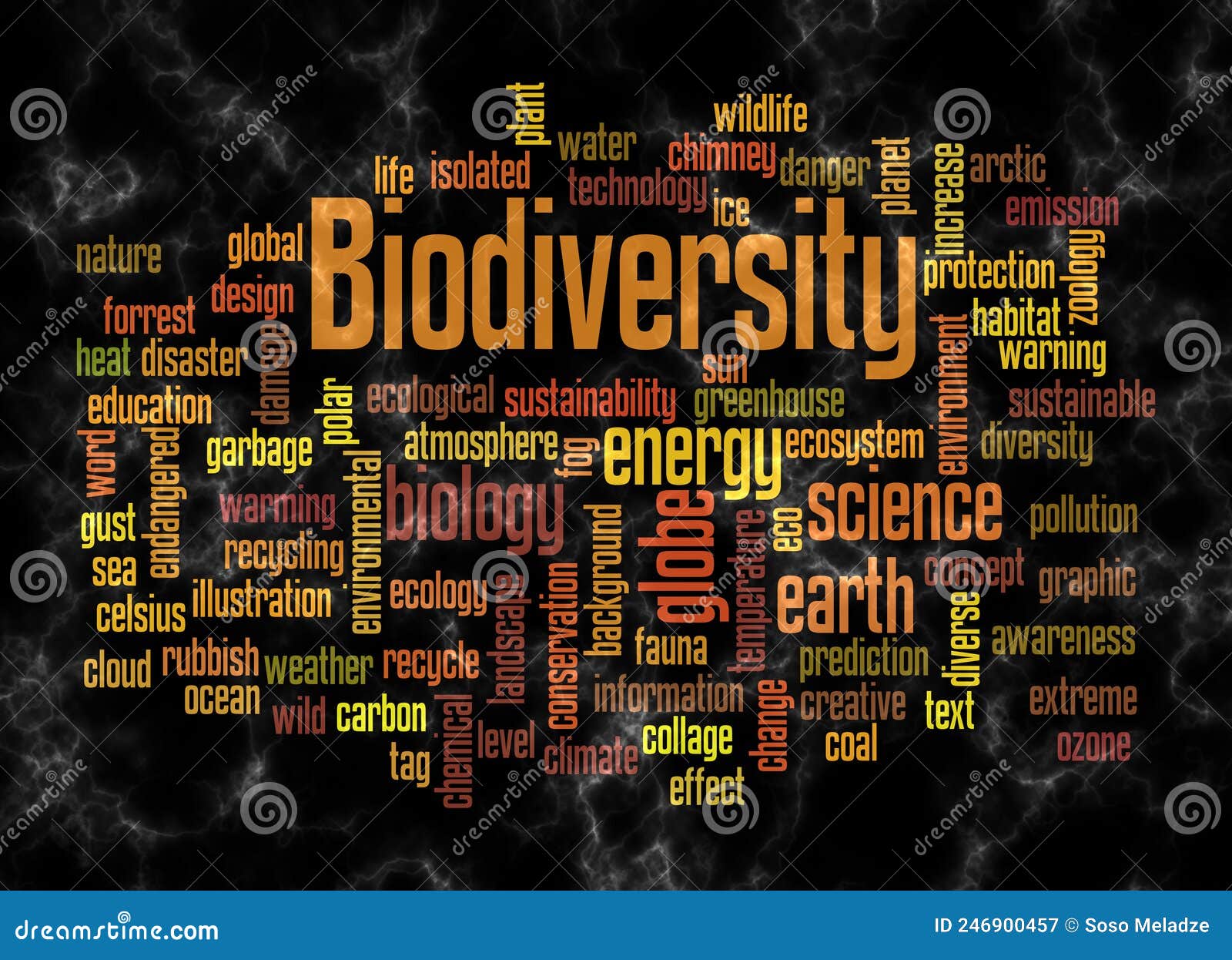 Word Cloud with BIODIVERSITY Concept Create with Text only Stock ...