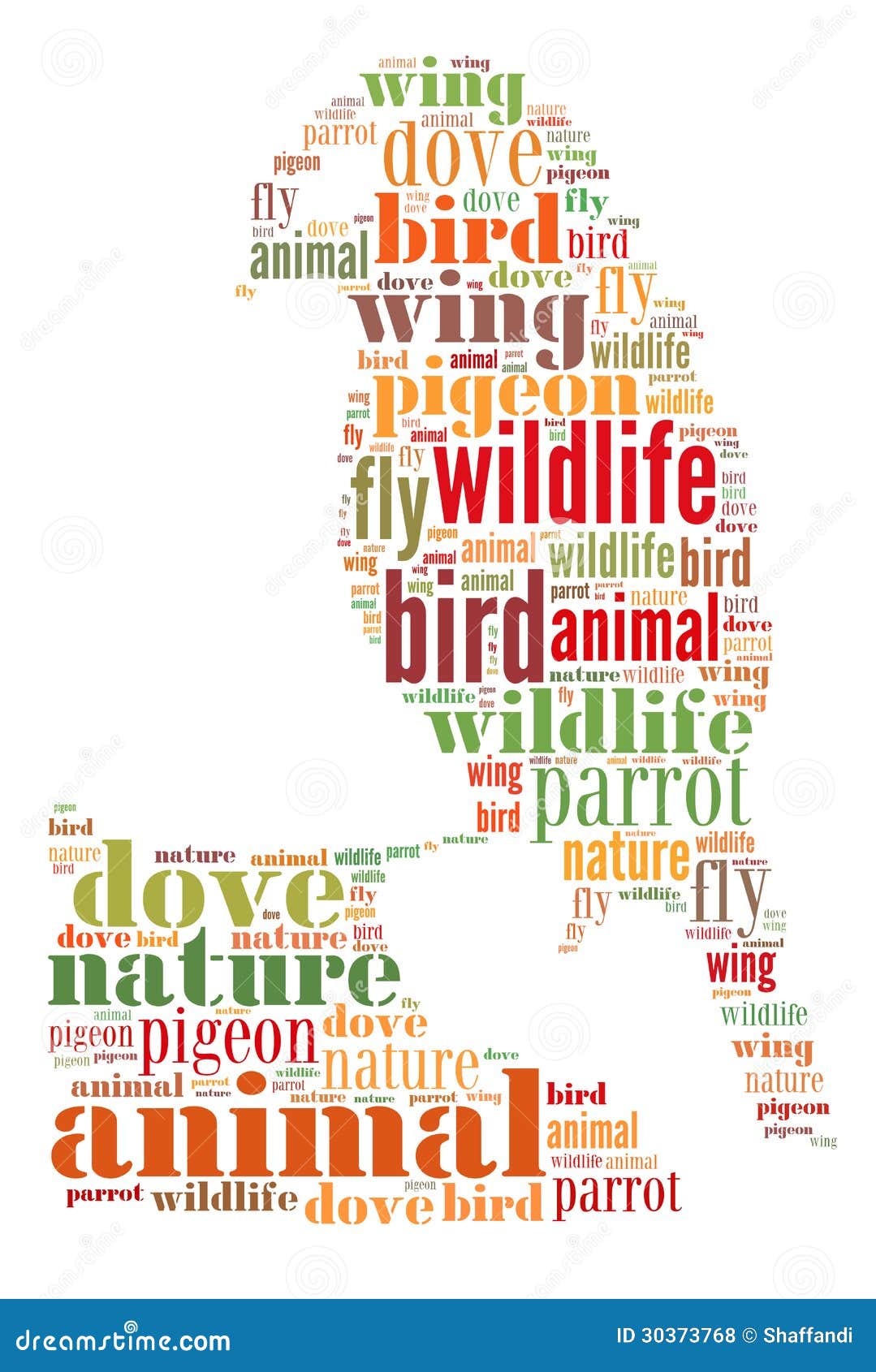 Word cloud of Bird stock illustration. Illustration of beak - 30373768