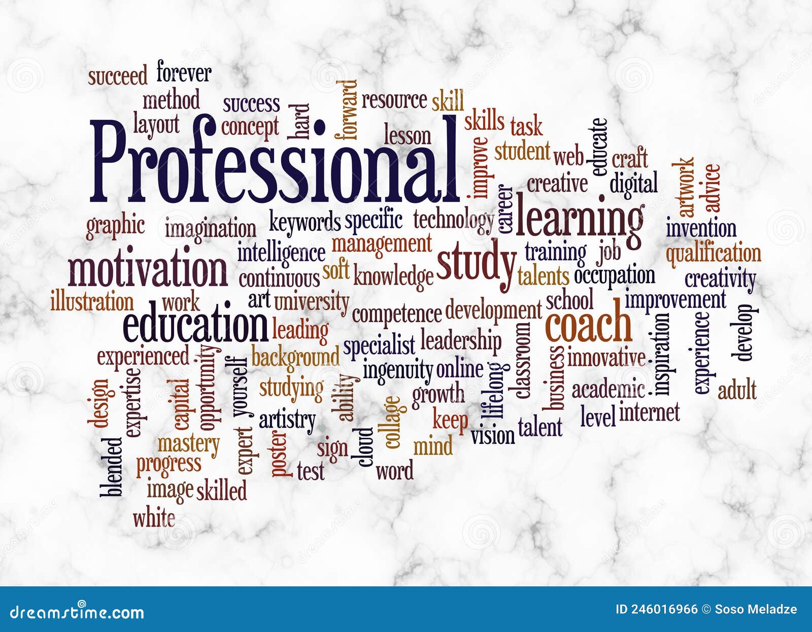 Word Cloud with PROFESSIONAL Concept Create with Text only Stock Photo ...