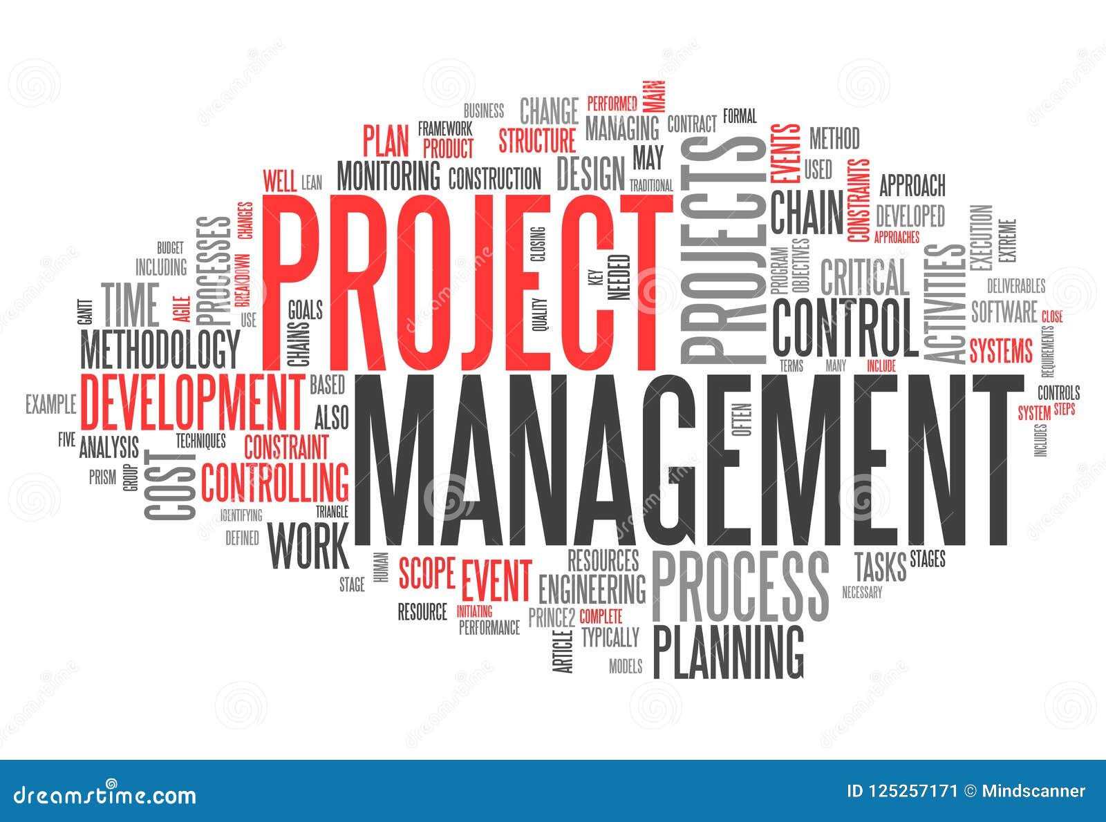 Project Management Word