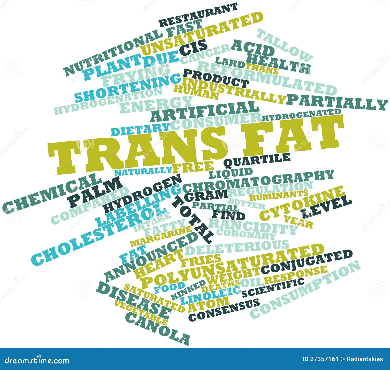 Trans Fat Word Cloud Concept On A 3D Cube Whiteboard Stock Photo ...