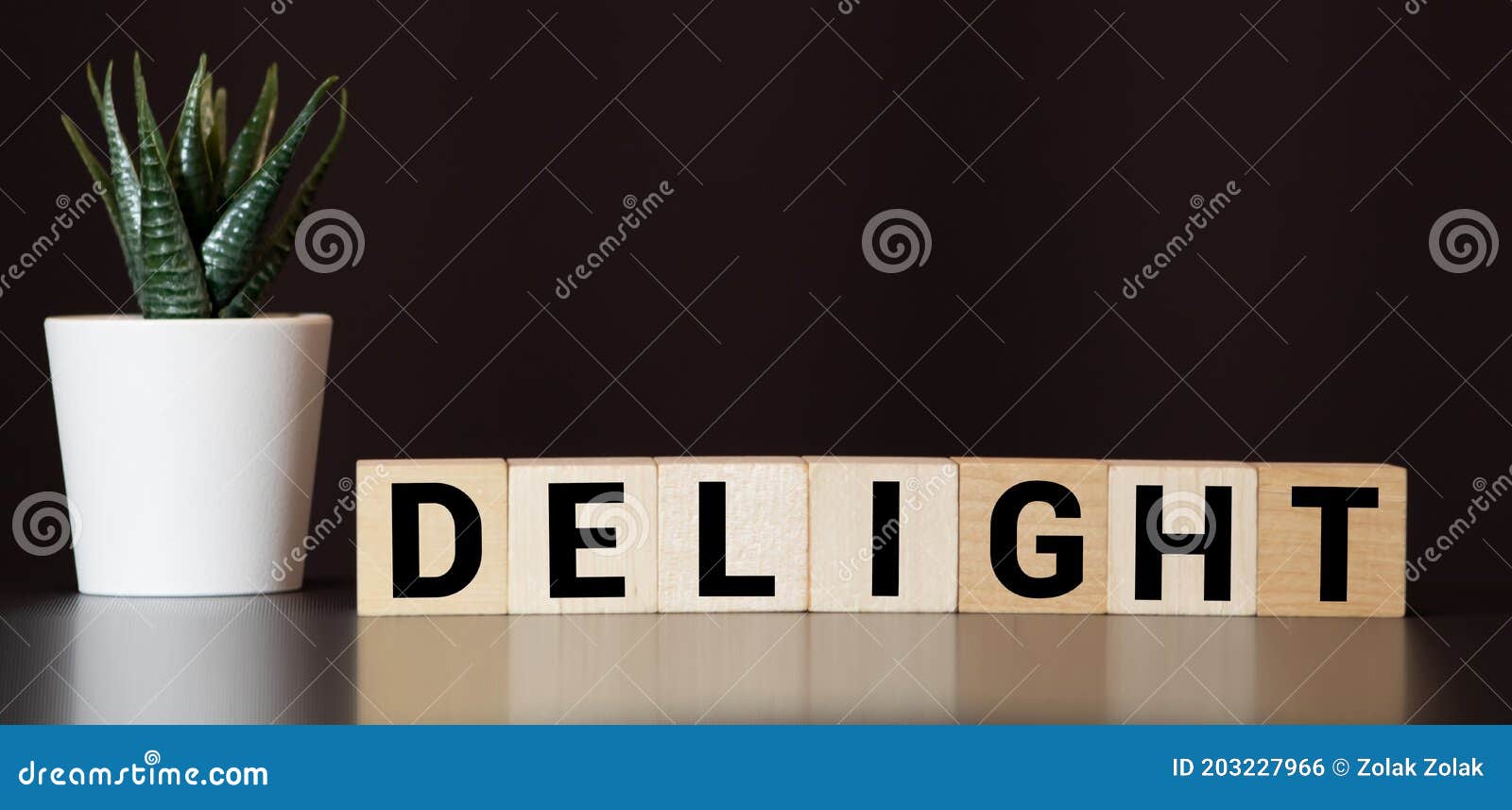 The Word of DELIGHT on Building Blocks Concept Stock Photo - Image of ...