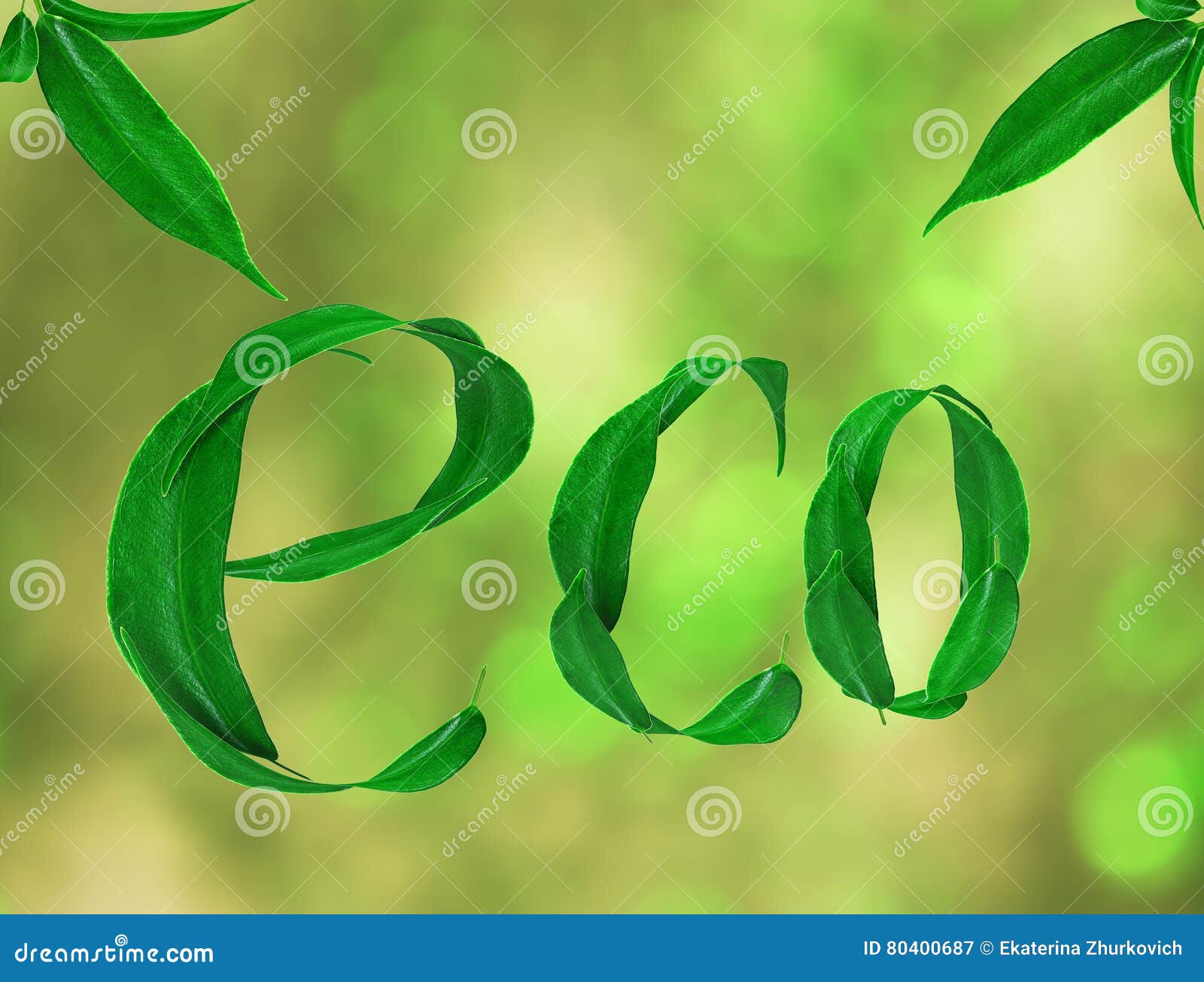 The Word Eco with Green Leaves on a Green Blurred Background. 3D Render ...
