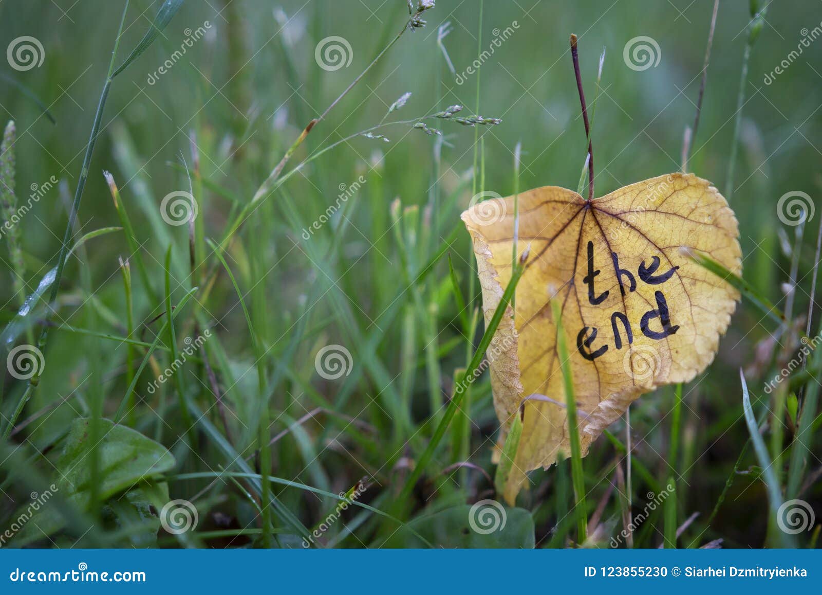 Word the End is Written on Yellow Leaf. Autumn Background Stock Photo ...