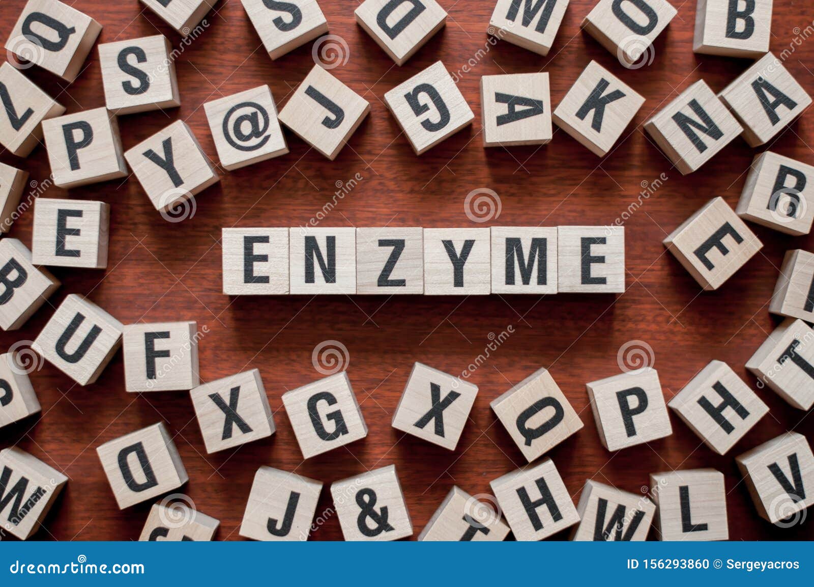 The Word of Enzyme on Building Blocks Concept Stock Photo - Image of ...