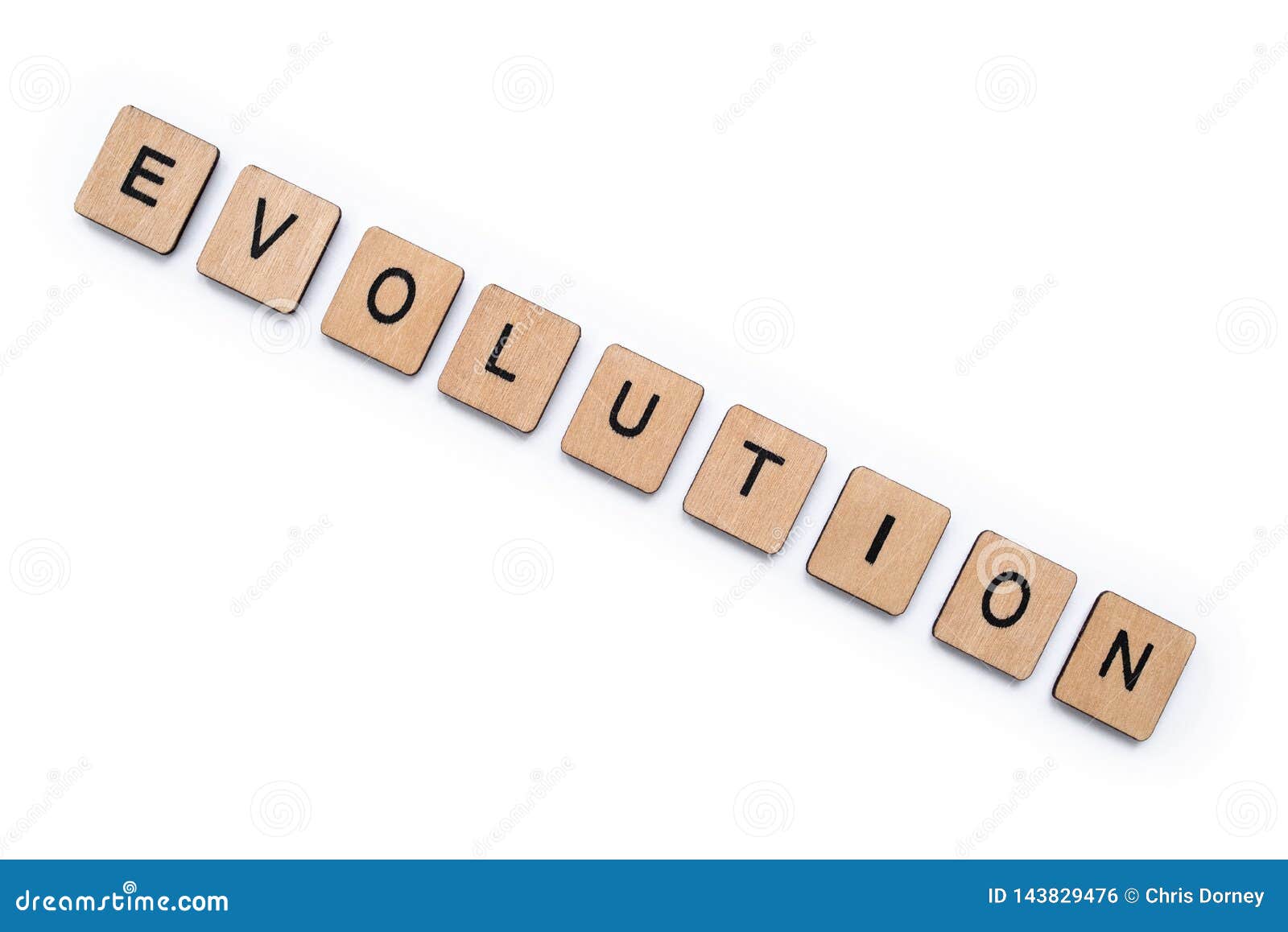 The word EVOLUTION editorial photo. Image of improvement - 143829476