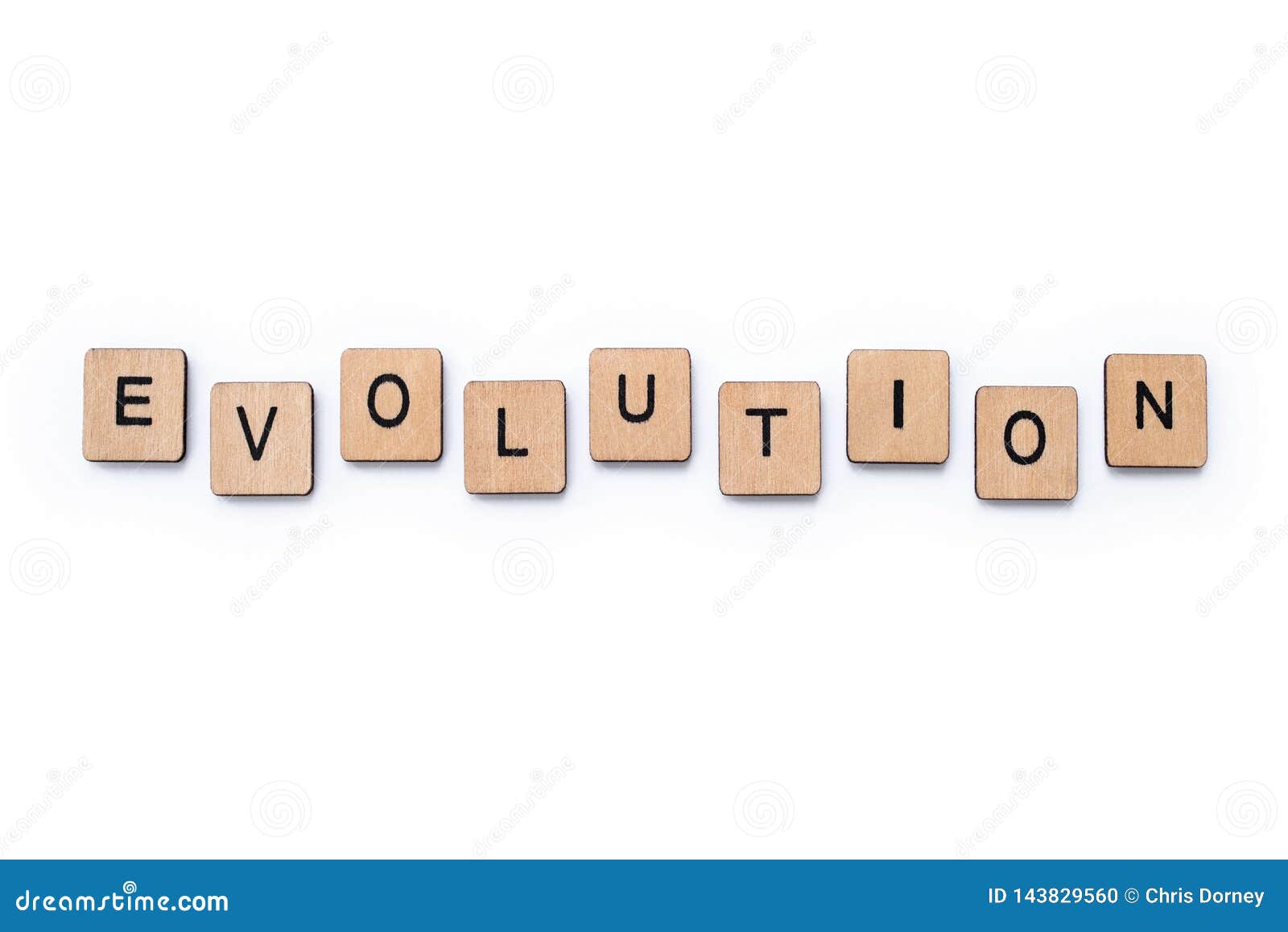 The word EVOLUTION editorial image. Image of evolved - 143829560