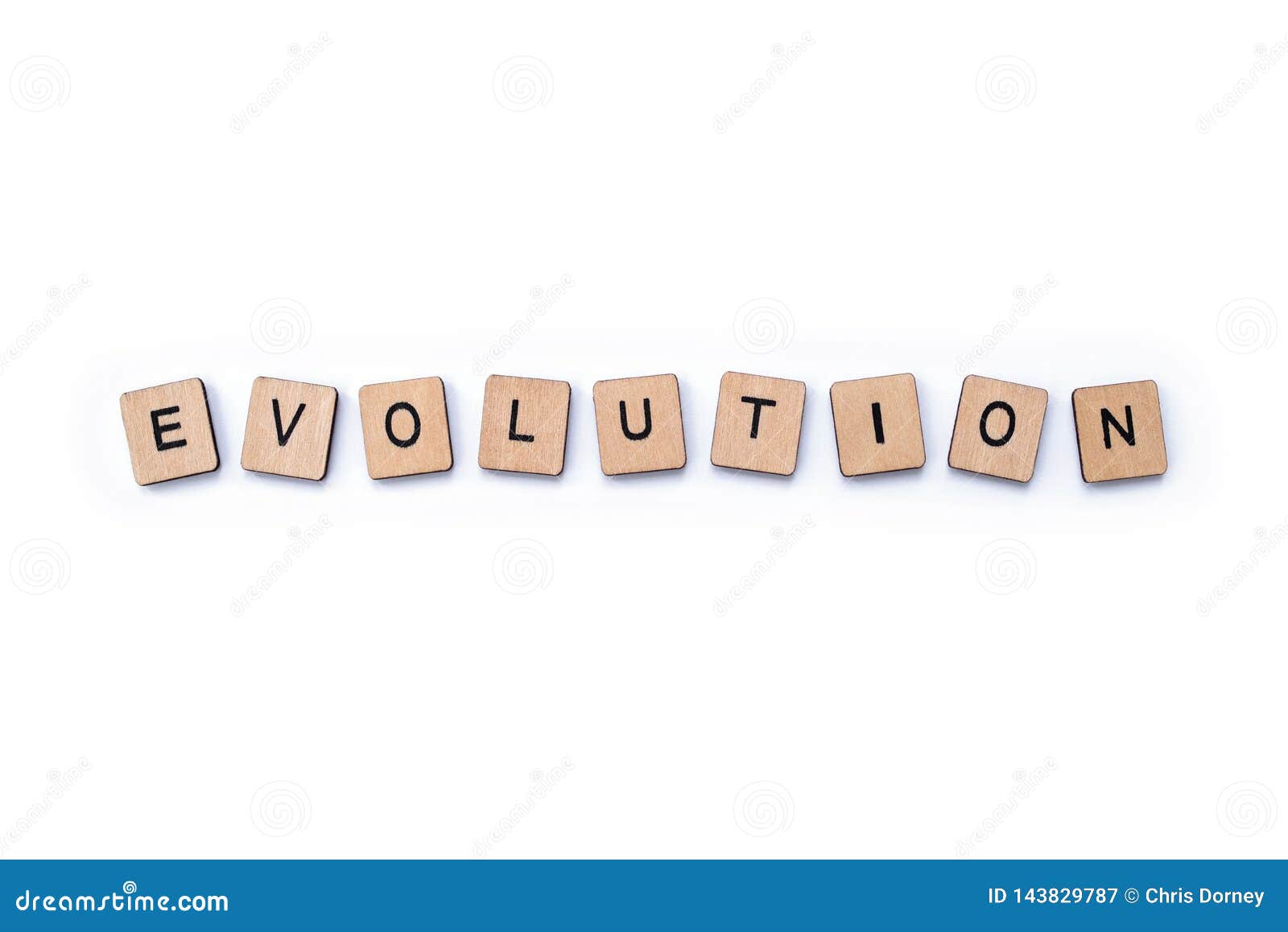 The word EVOLUTION editorial photography. Image of evolution - 143829787
