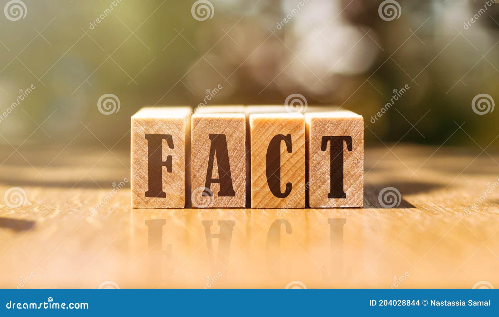Word Fact Made with Building Wooden Blocks on Table in Sunlight Stock ...