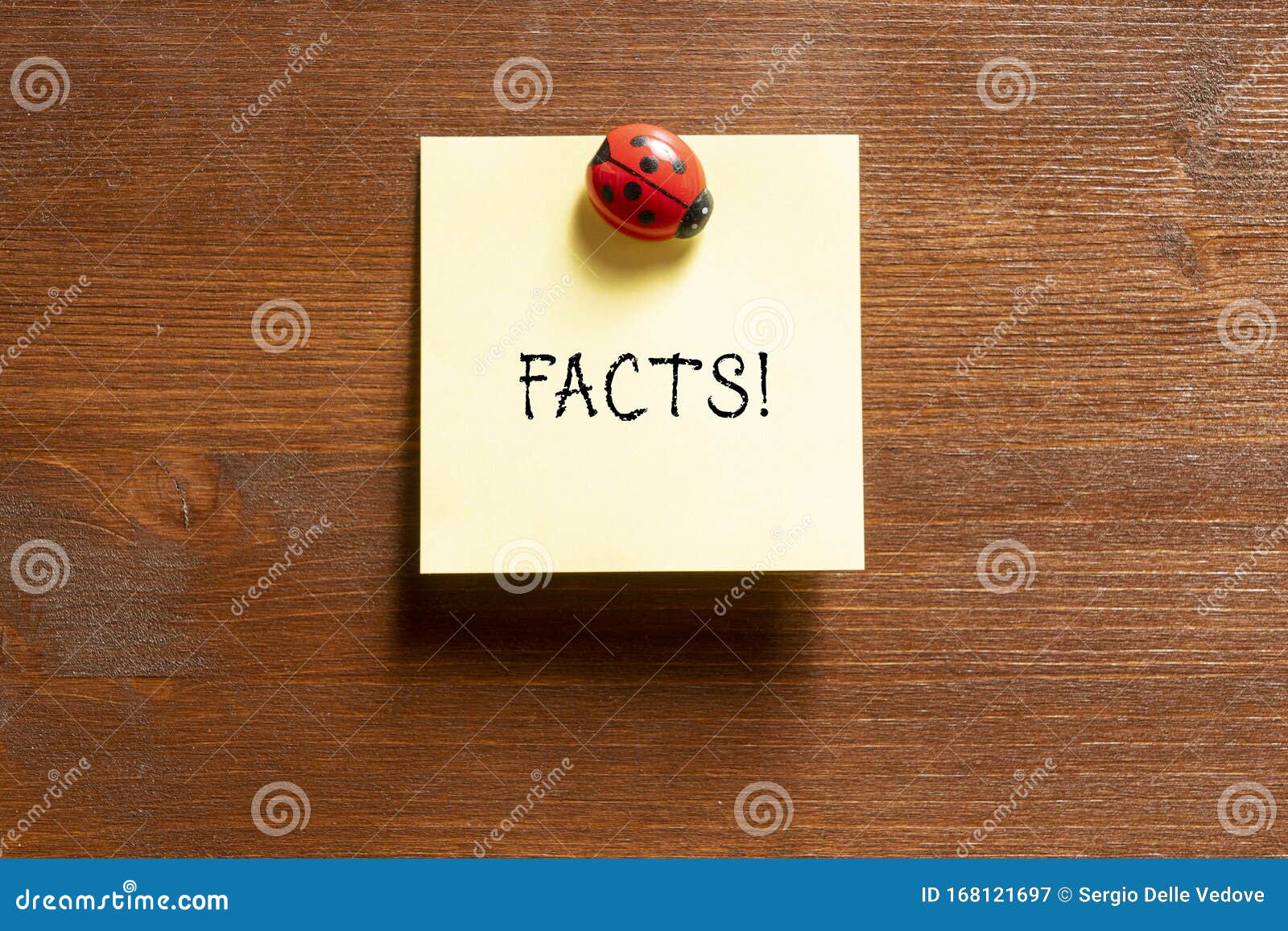 The word facts stock image. Image of information, green - 168121697
