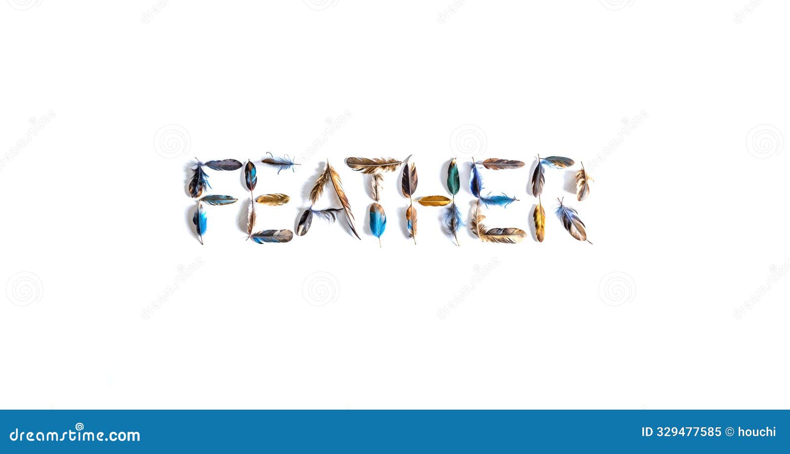 The Word "Feather" Made of Feather of Various Colors and Shapes ...