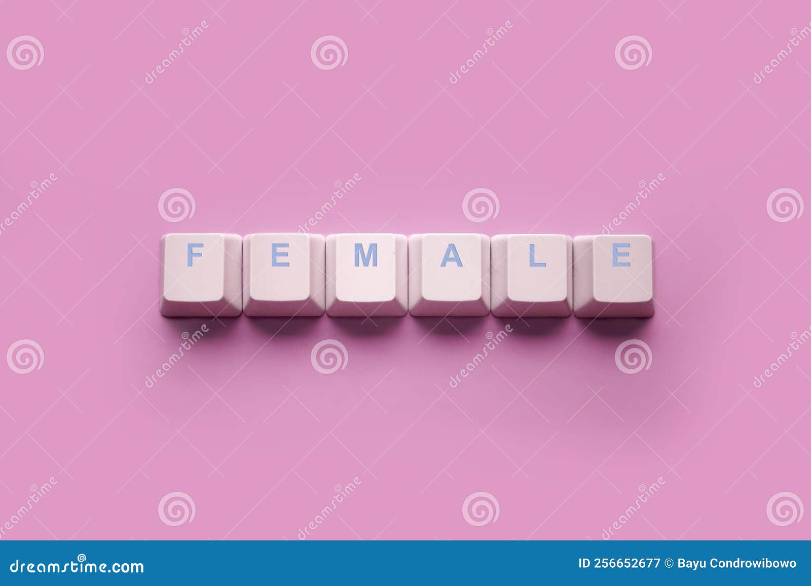 Word FEMALE Written on Computer Keyboard Keys Isolated on a Pink Stock ...