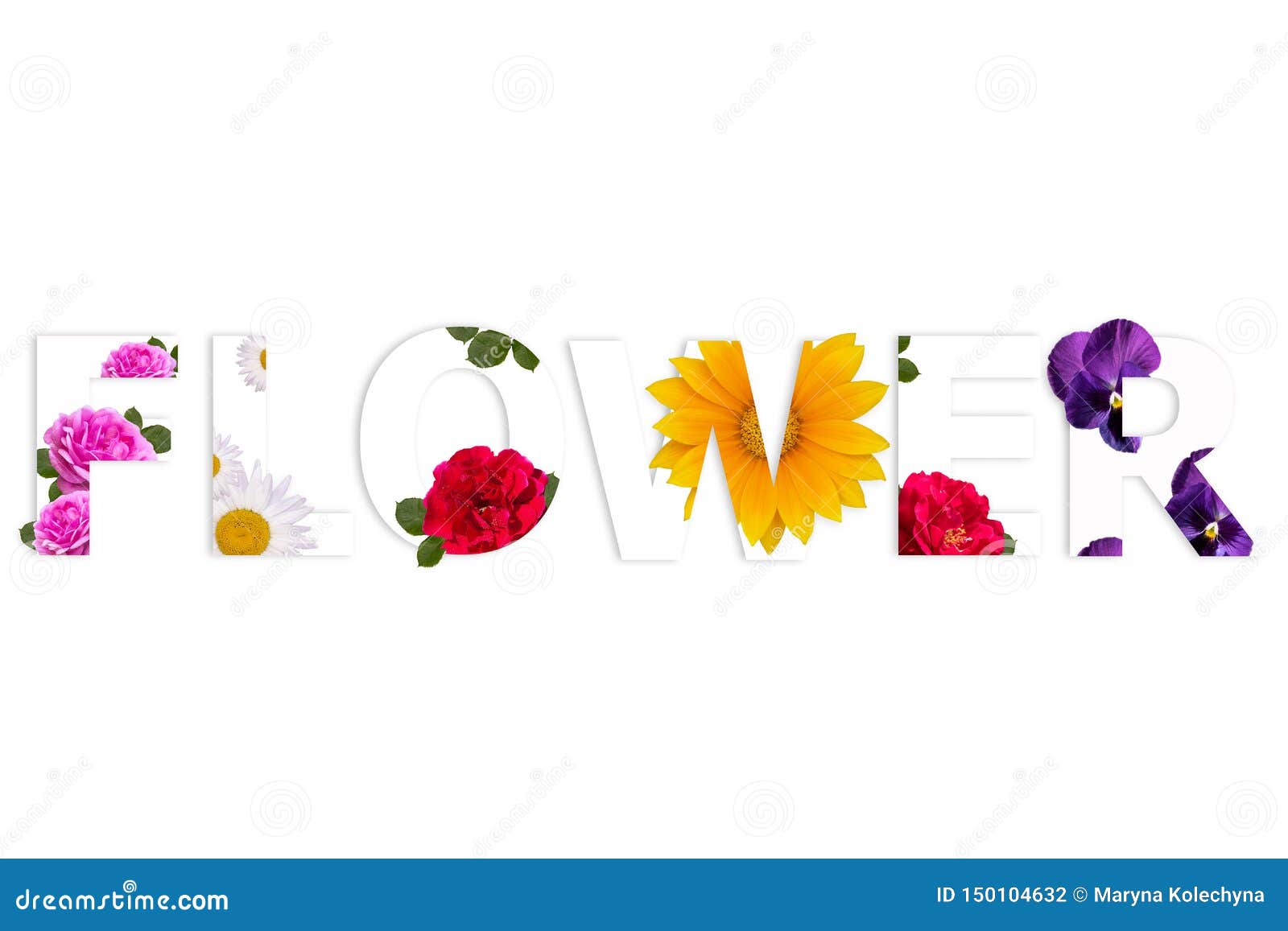 Word FLOWER Made of Flowers on White Background Stock Photo - Image of ...