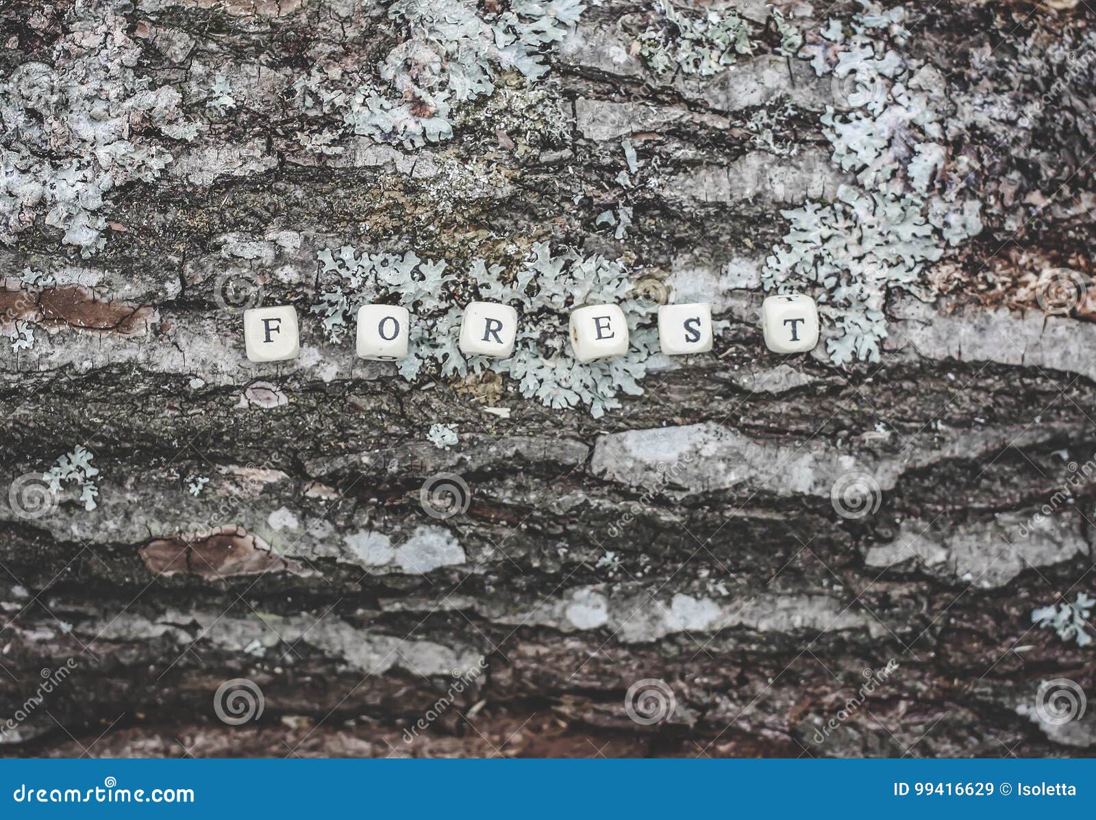 Word Forest of Wooden Alphabet Beads on a Tree Bark Surface in the ...