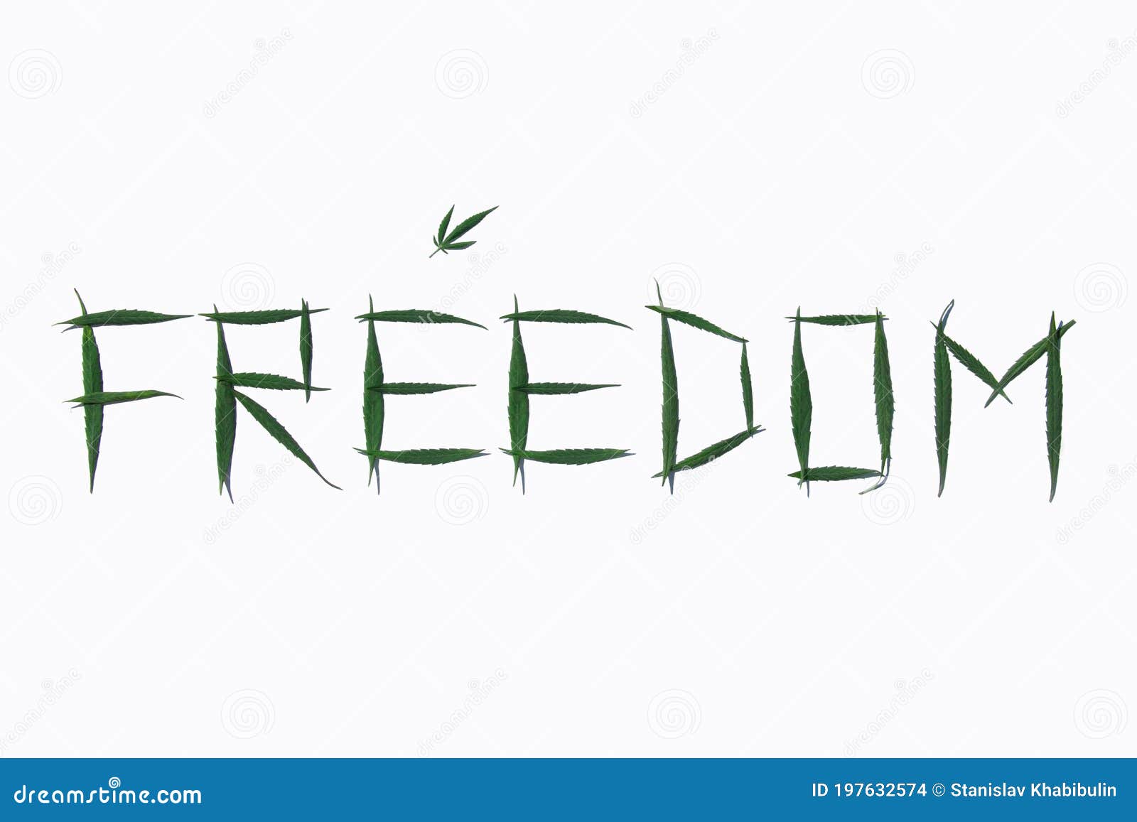 Word FREEDOM from Green Hemp Leaves on a White Background Stock Photo ...