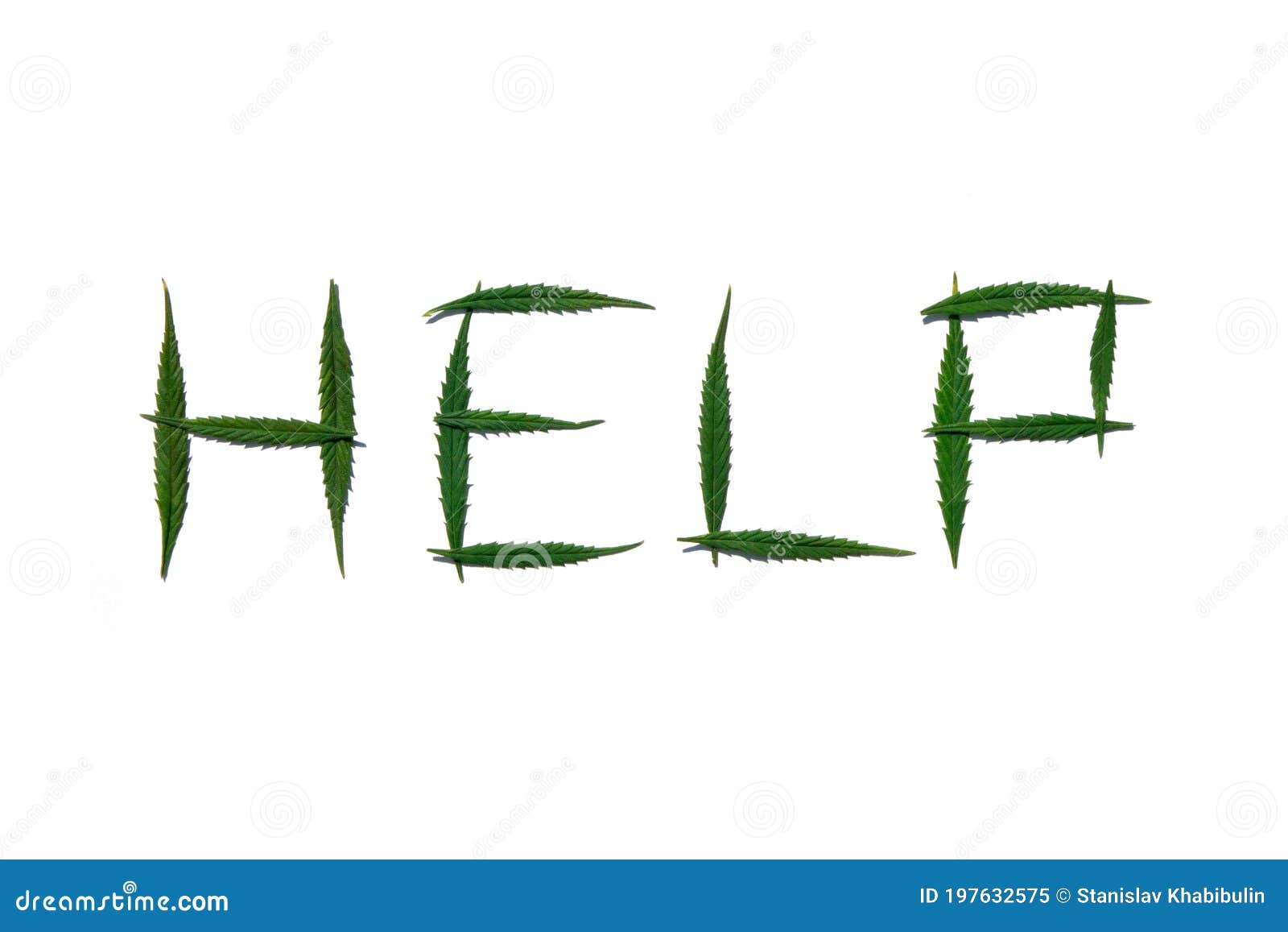 Word HELP from Green Hemp Leaves on a White Background Stock Image ...