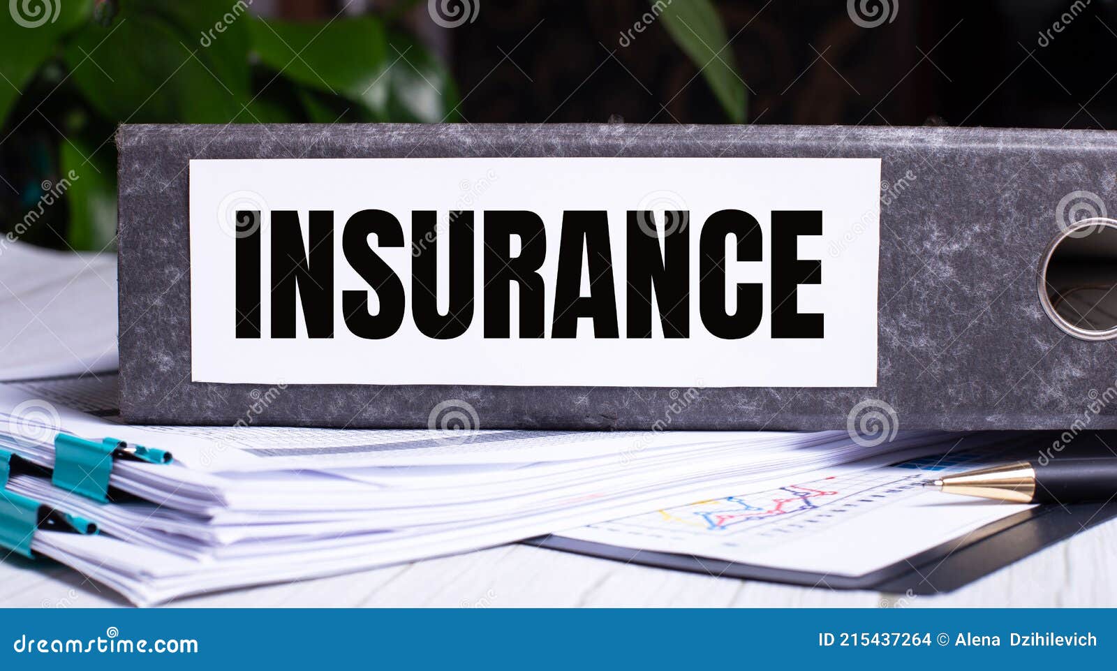 The Word INSURANCE is Written on a Gray File Folder Next To Documents ...
