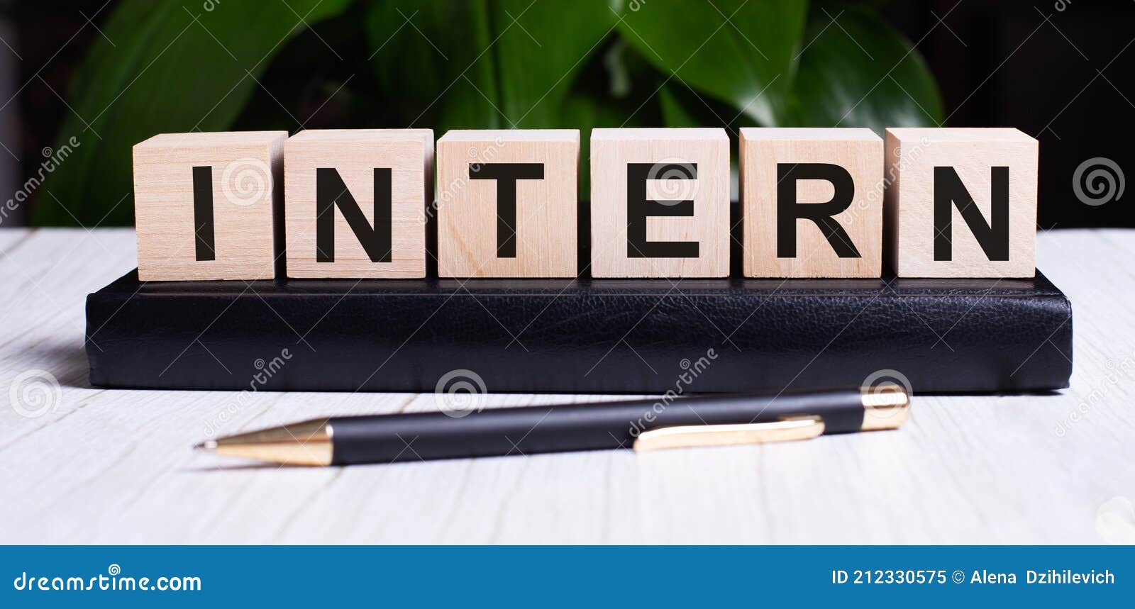 The Word INTERN is Written on the Wooden Cubes of the Diary Near the ...