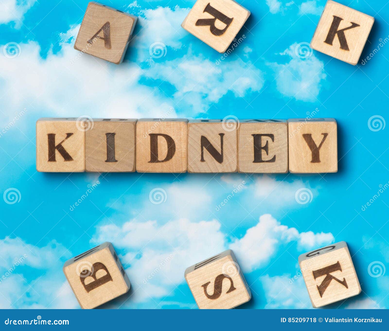 The word kidney stock photo. Image of clouds, blue, biology - 85209718