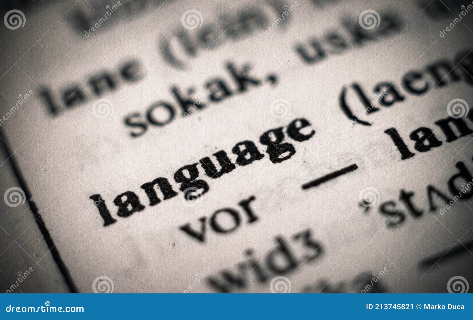 Word Language from the Old English Dictionary. Stock Image - Image of ...