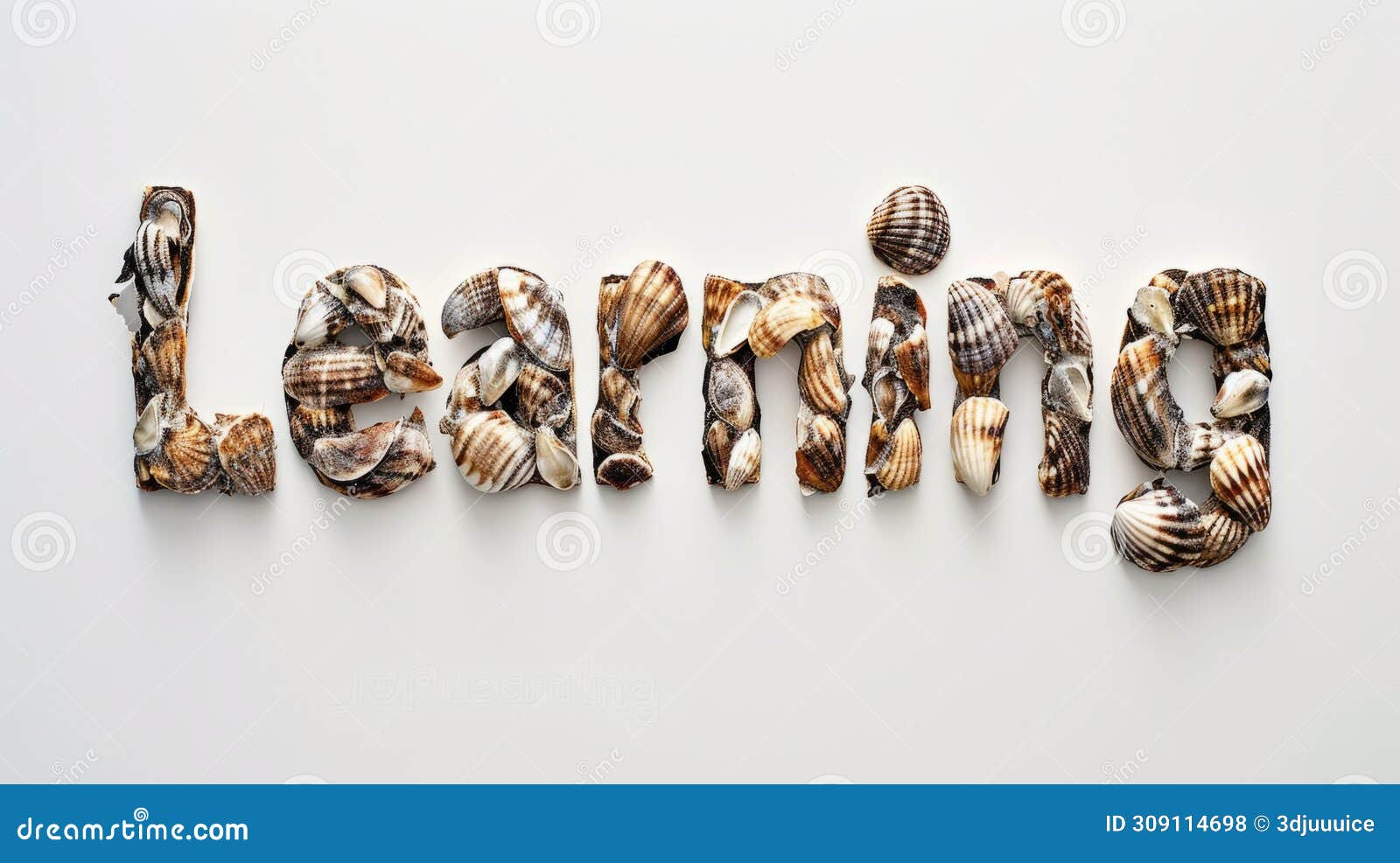 The Word Learning Isolated on White Background Made in Cowrie Shell ...