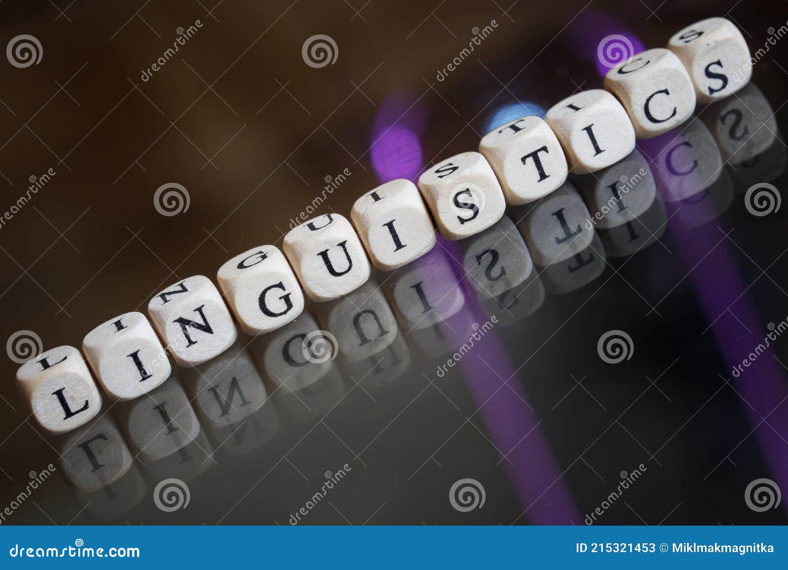 The Word Linguistics is Laid Out in Wooden Cubes on a Reflective ...