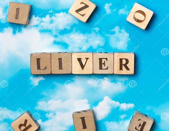 The word Liver stock photo. Image of disease, icon, background - 85229816