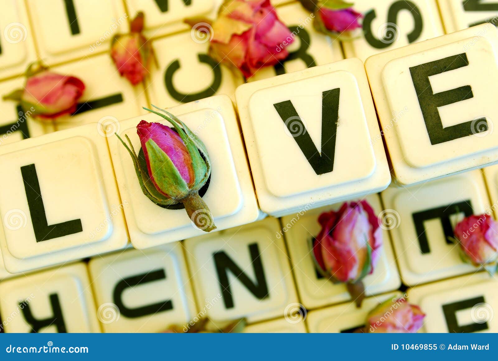 The word love with roses stock image. Image of romance - 10469855