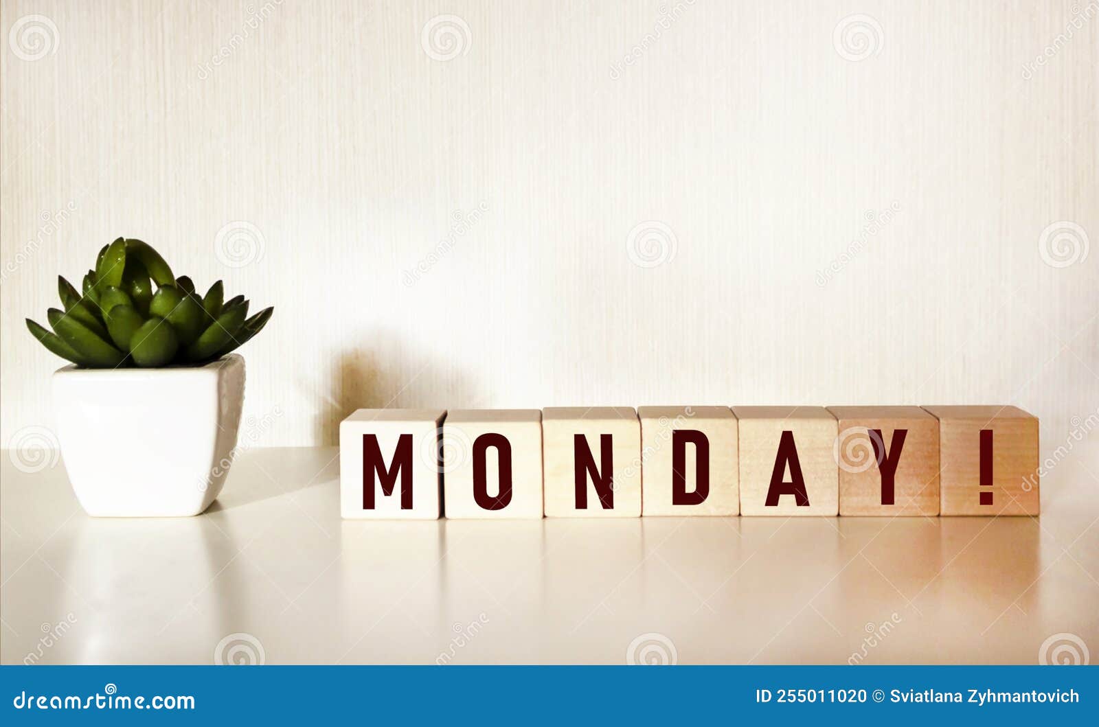 The Word MONDAY on Wooden Cubes and a Light Table with a Flower Stock ...