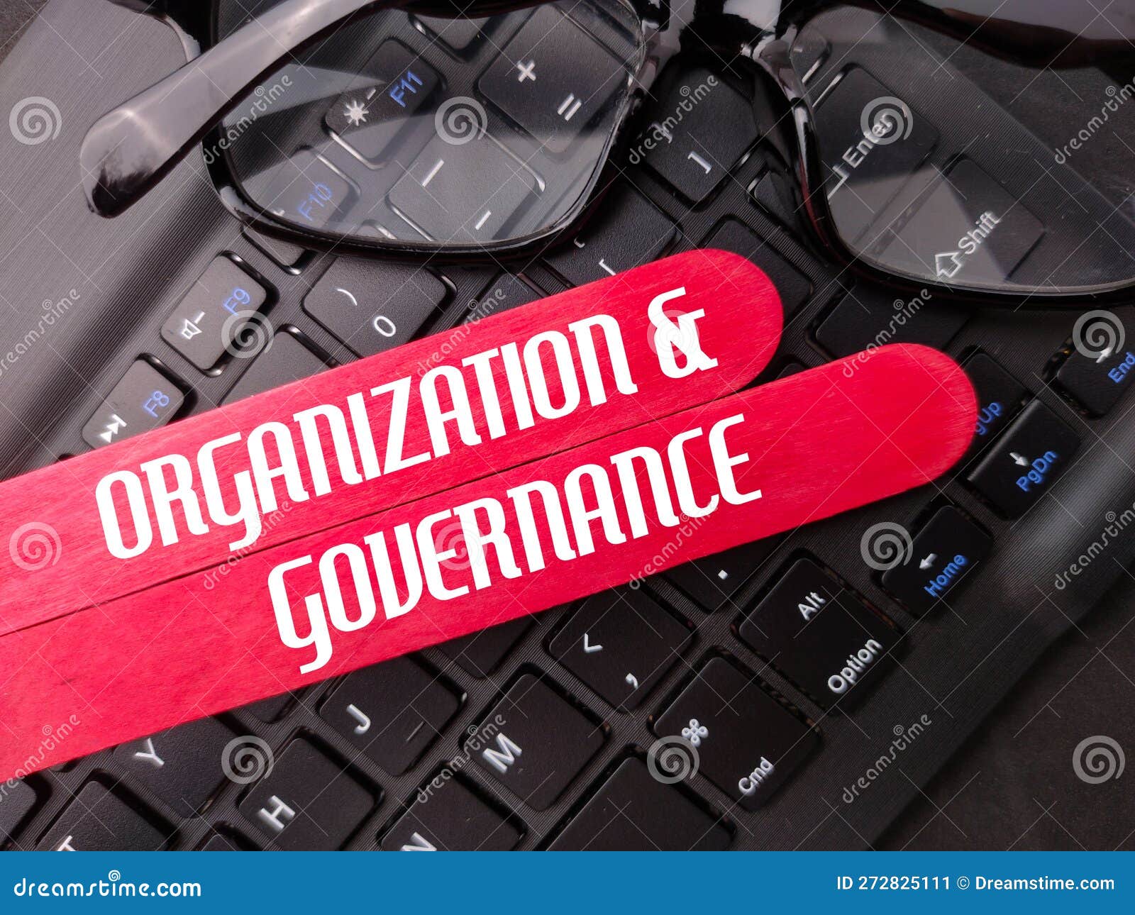 The Word ORGANIZATION and GOVERNANCEthe Word ORGANIZATION and ...