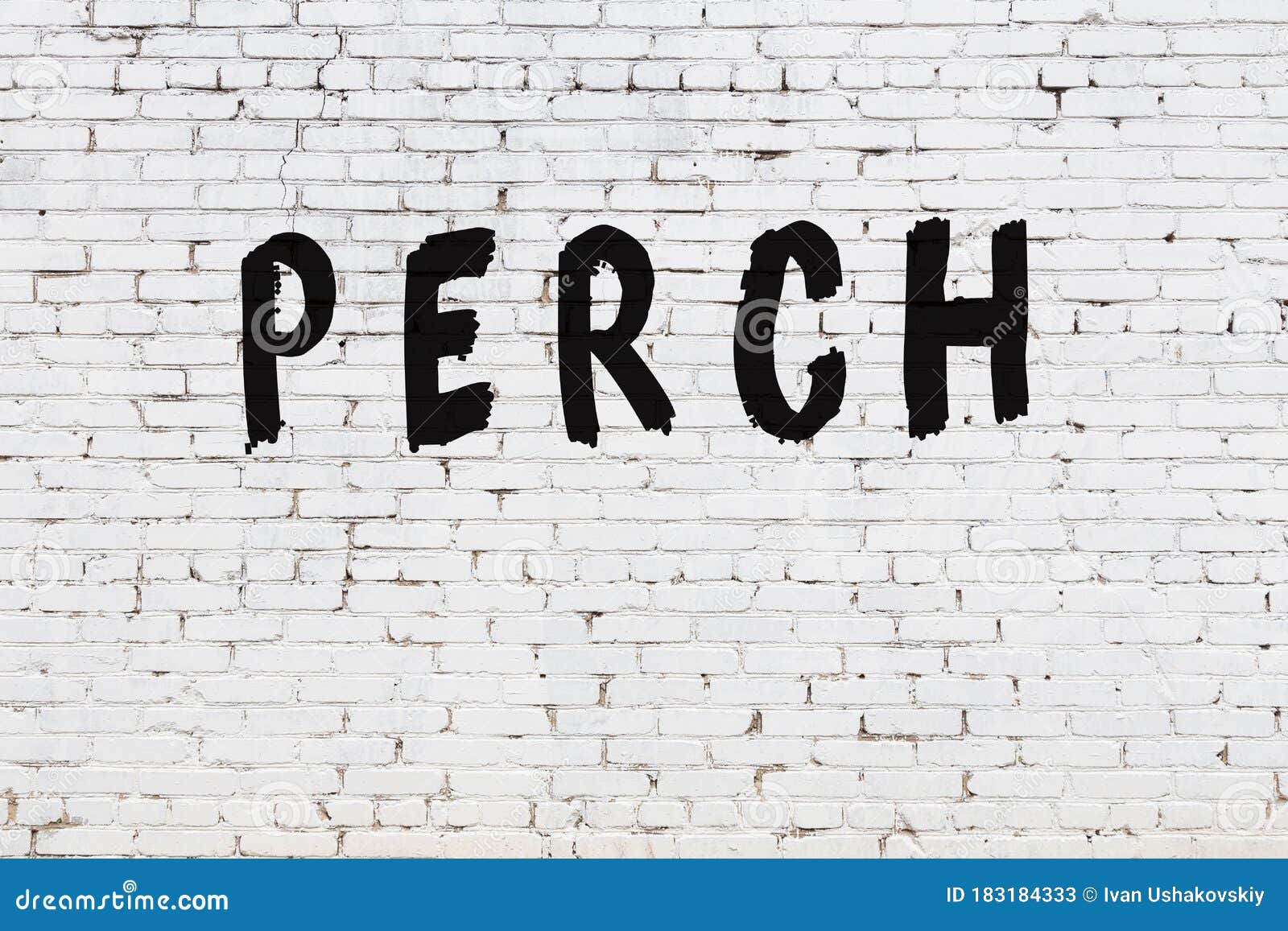 Word Perch Painted on White Brick Wall Stock Image - Image of word ...