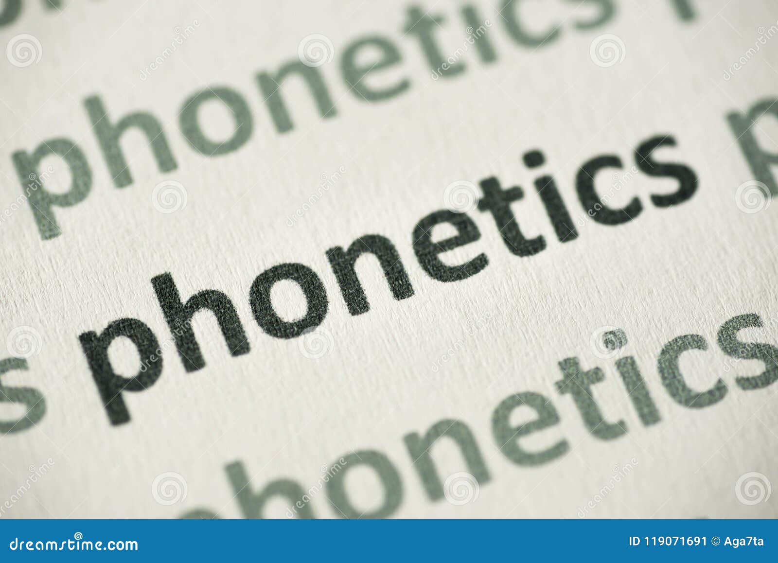 Word Phonetics Printed on Paper Macro Stock Image - Image of document ...