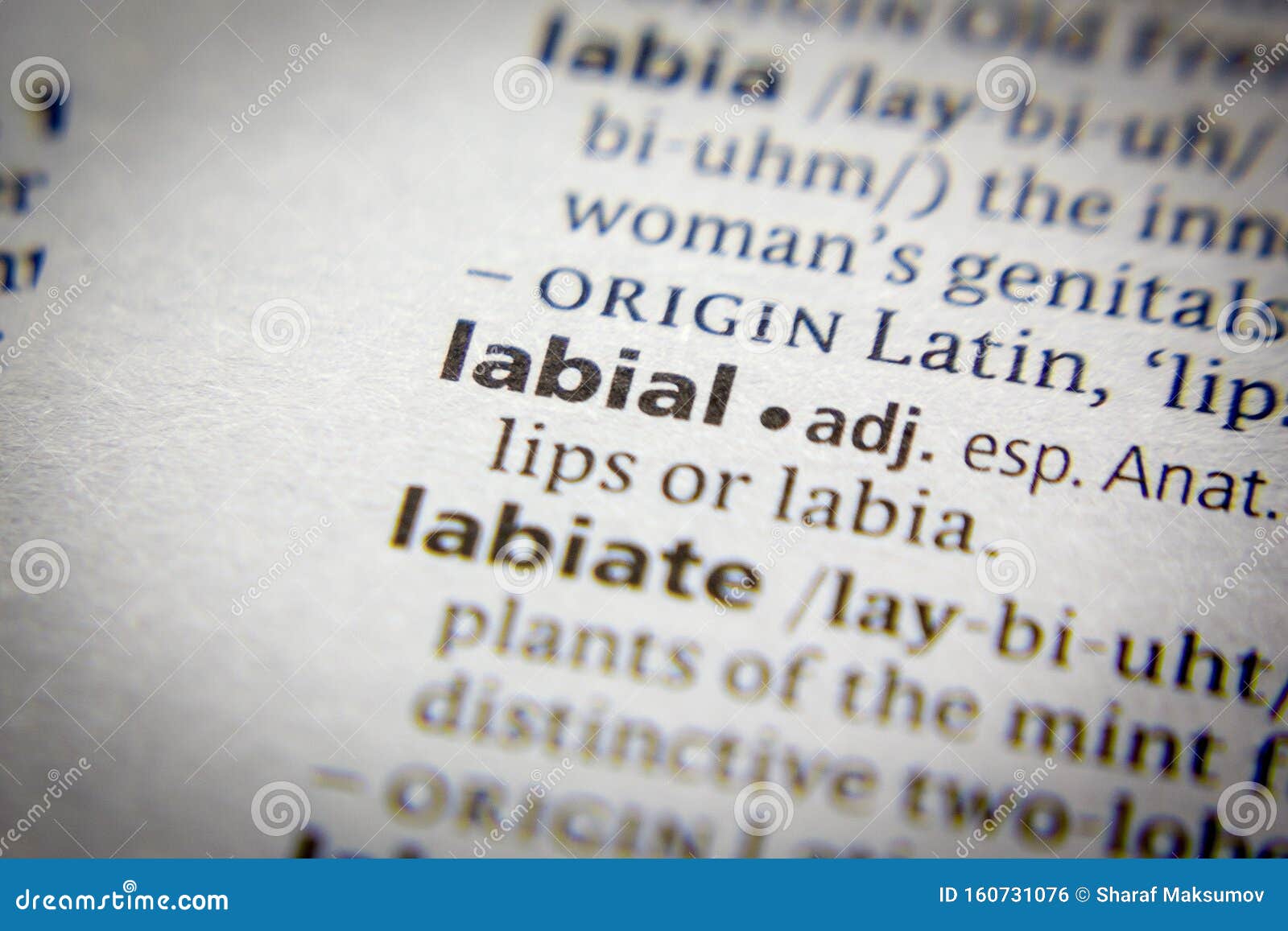 Word or Phrase Labial in a Dictionary Stock Photo - Image of paper ...