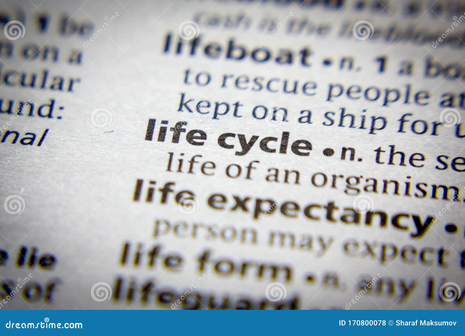 Word or Phrase Life Cycle in a Dictionary Stock Photo - Image of ...