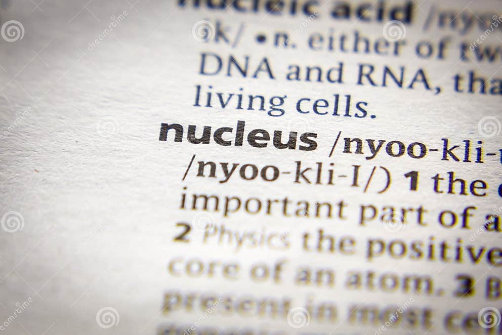 Word or Phrase Nucleus in a Dictionary Stock Photo - Image of text, highlighted: 180506174