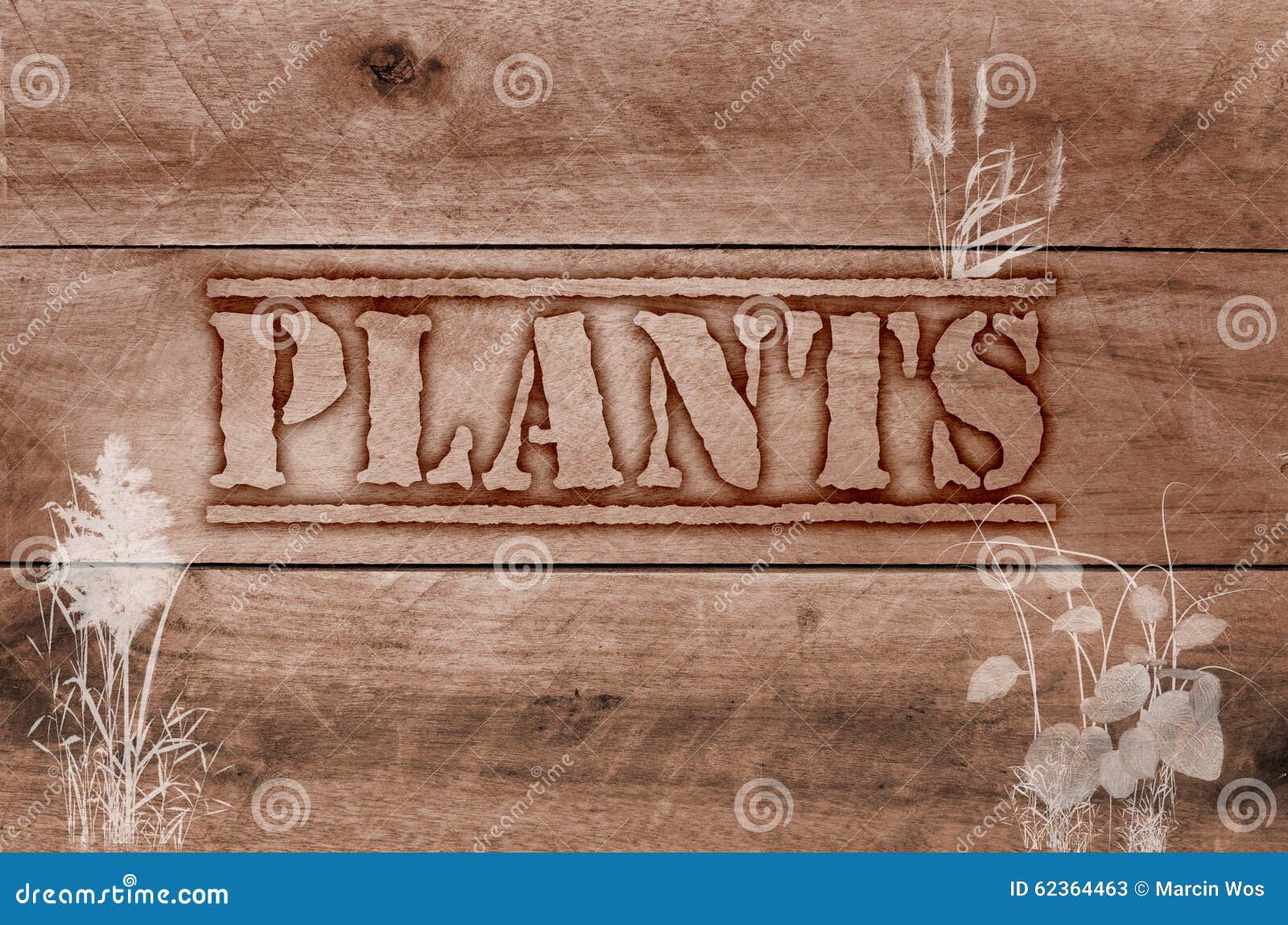 Word Plants Written on Wooden Brown Background Stock Image - Image of ...