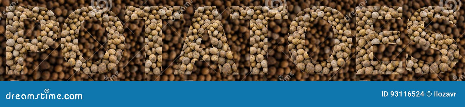 Word Potatoes are Written with Vegetables Stock Photo - Image of size ...