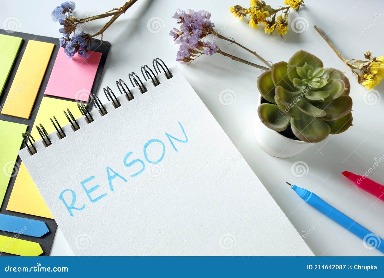 Word Reason Written in Spiral Notebook Stock Image - Image of ...