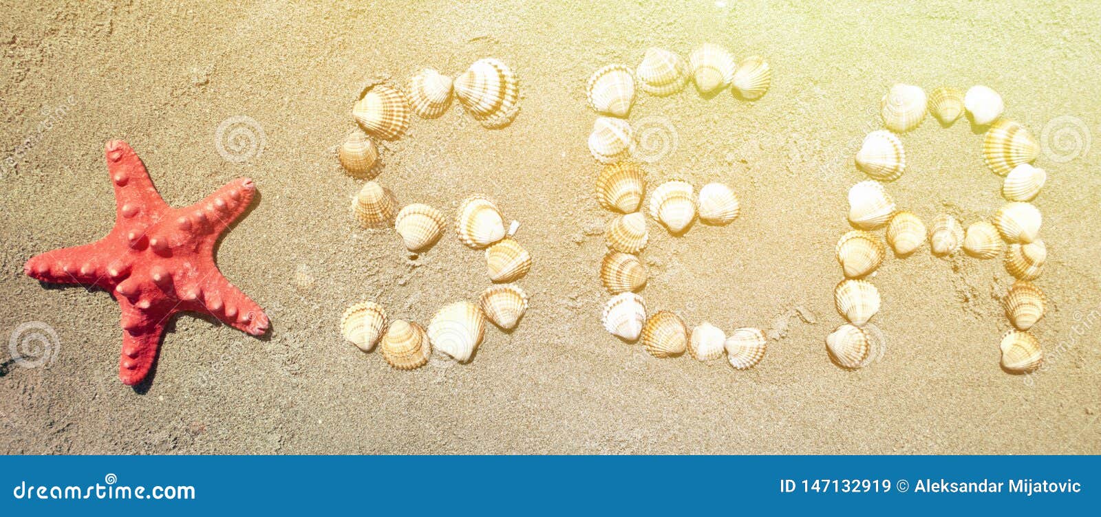Word SEA Made with Sea Shells and Sea Star Stock Image - Image of ...