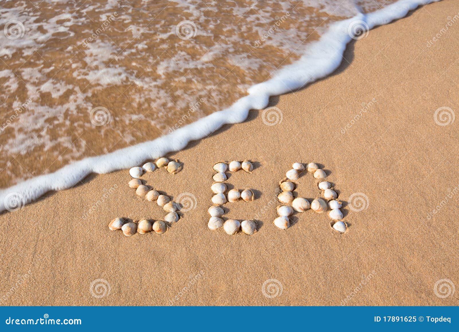 Word Sea Shell Written on Beach Sand Stock Image - Image of backgrounds ...