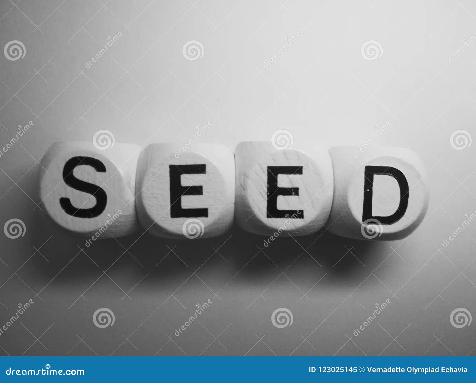 Word seed spelled on dice stock image. Image of concept - 123025145