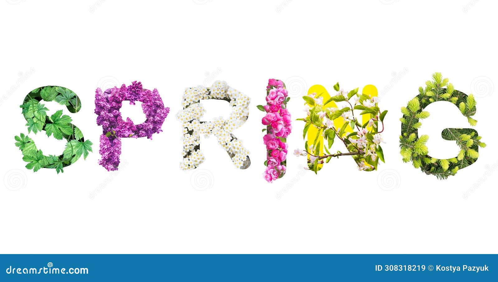 Word Spring Made of Floral Letters Isolated on White Stock Image ...