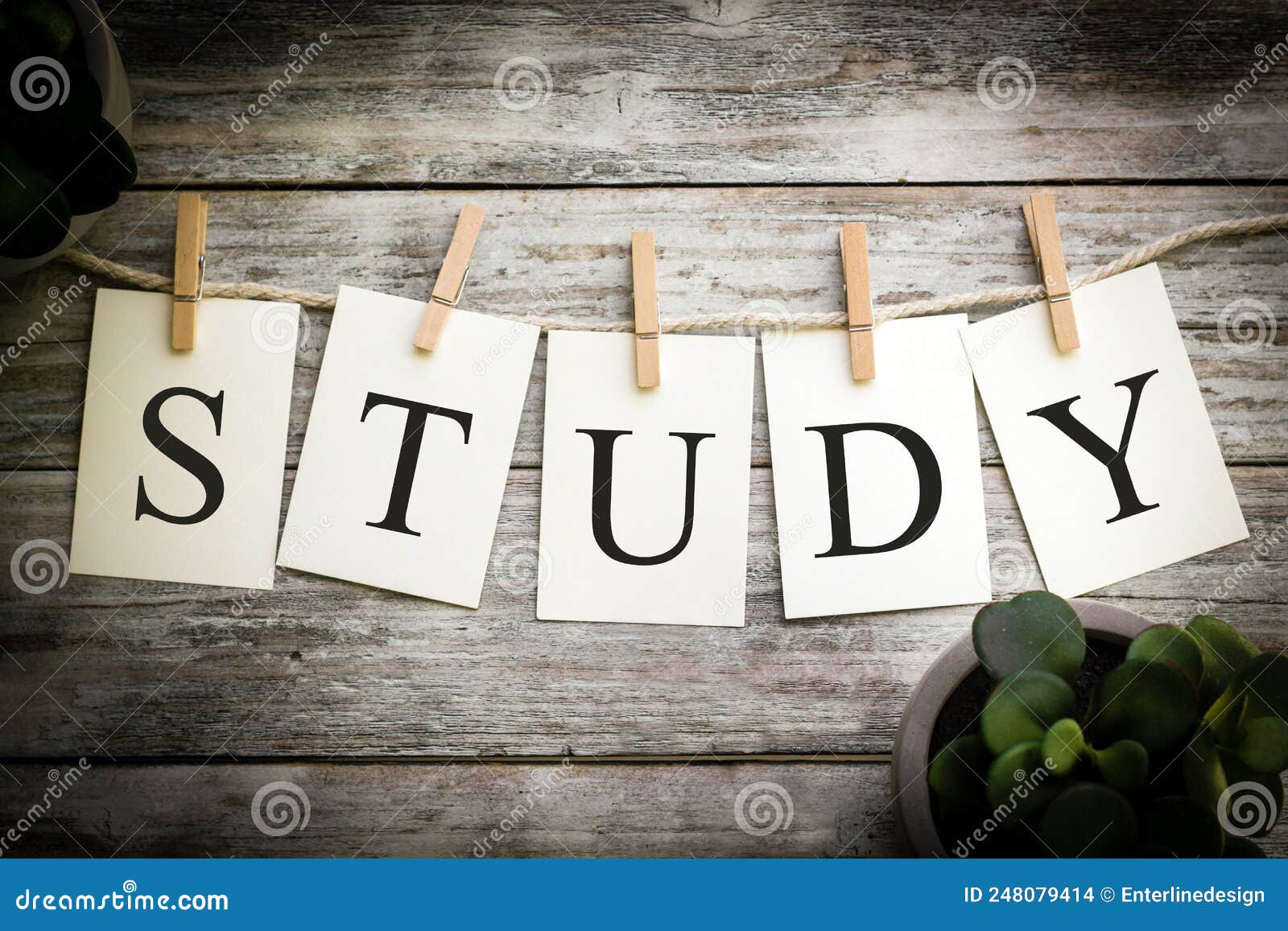The Word STUDY Concept Printed on Cards Stock Photo - Image of wooden ...